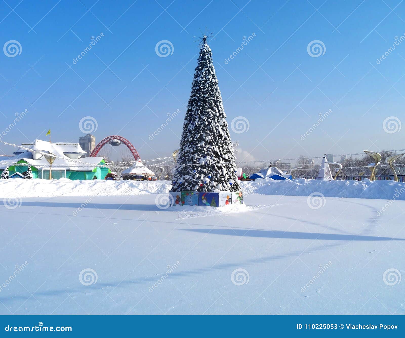 Christmas Tree in the Park. Stock Image - Image of holiday, decoration ...