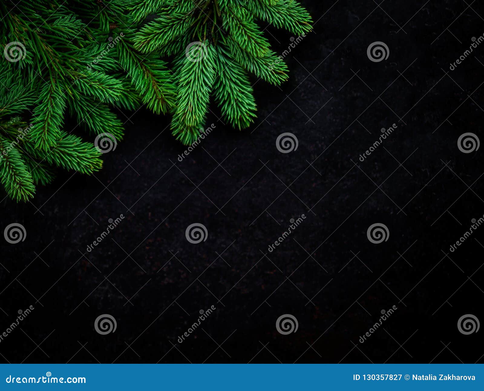 Christmas Tree Pine Branches on Black Background. View from Abo Stock ...