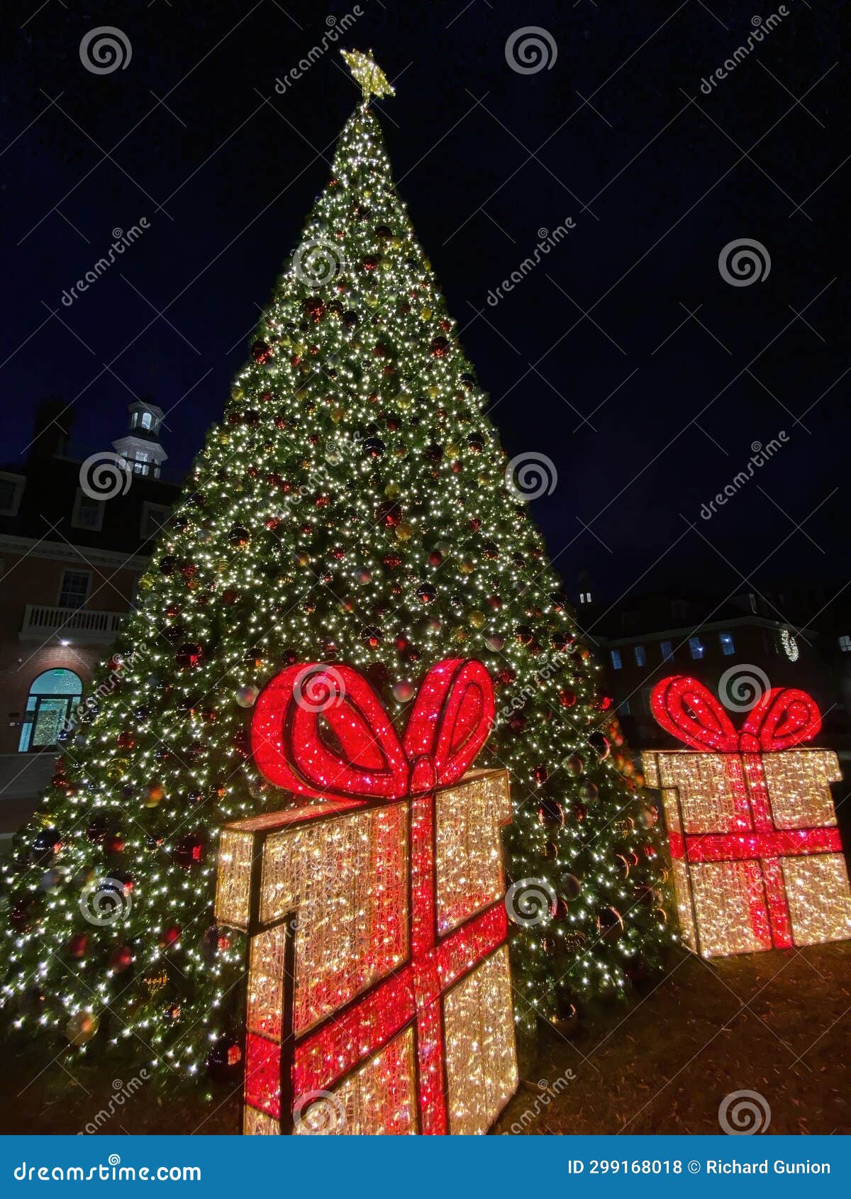 Christmas Tree with Presents Outdoors at Night Stock Photo - Image of ...