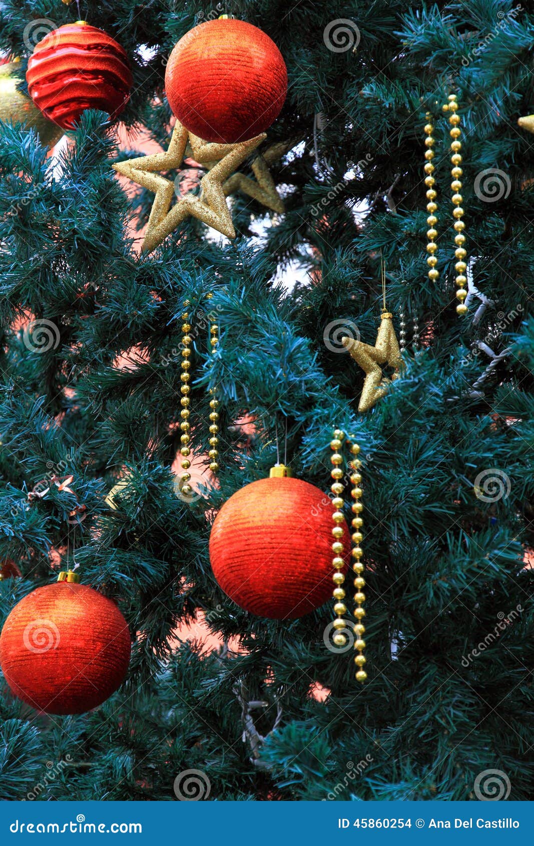 Christmas tree stock photo. Image of balls, branches - 45860254