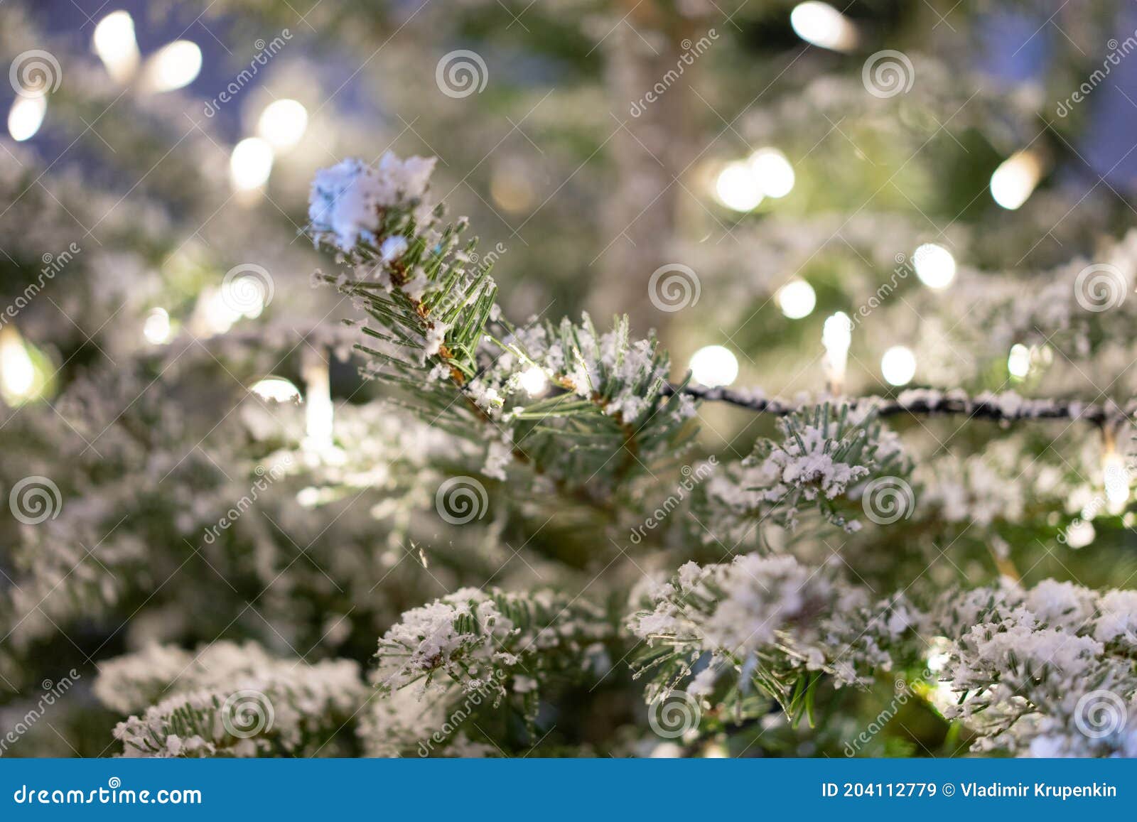 Christmas Tree stock image. Image of nature, decorative - 204112779