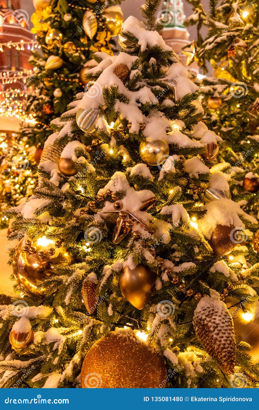 Christmas Tree on Red Square Stock Photo - Image of december, decor ...