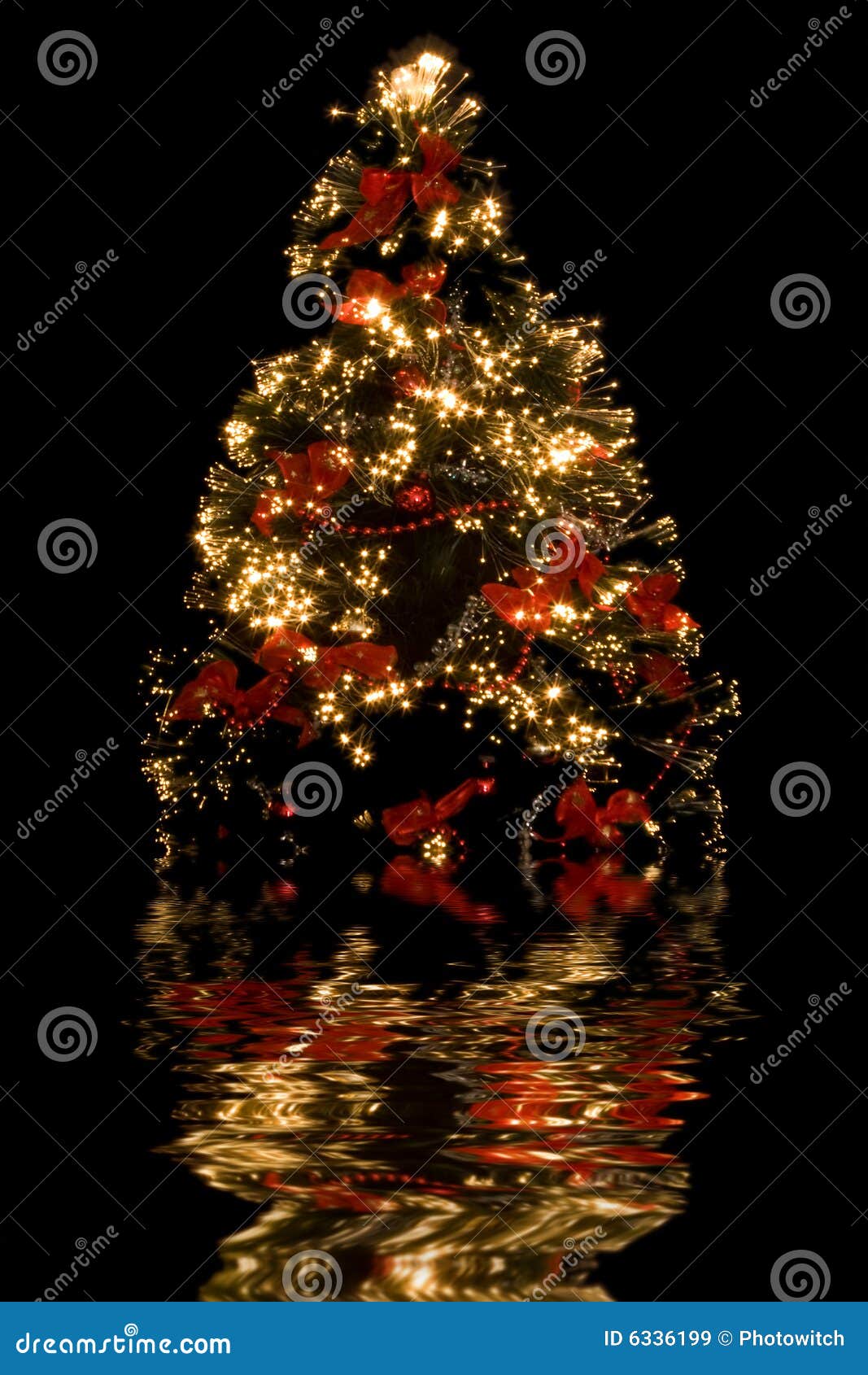 Christmas tree reflection stock image. Image of winter - 6336199