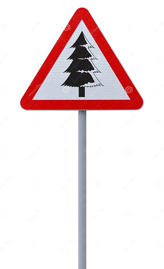 Christmas Tree Road Sign stock image. Image of sign, white - 26619155