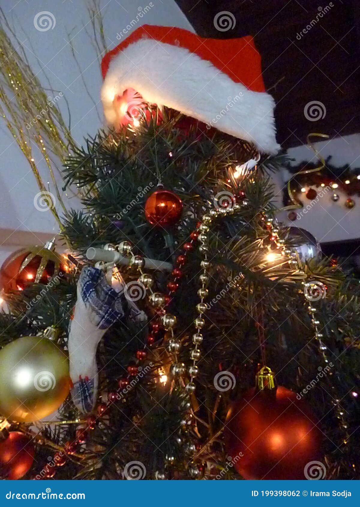 Christmas Tree with SantaÂ´s Hat Stock Photo - Image of graphicdesign ...