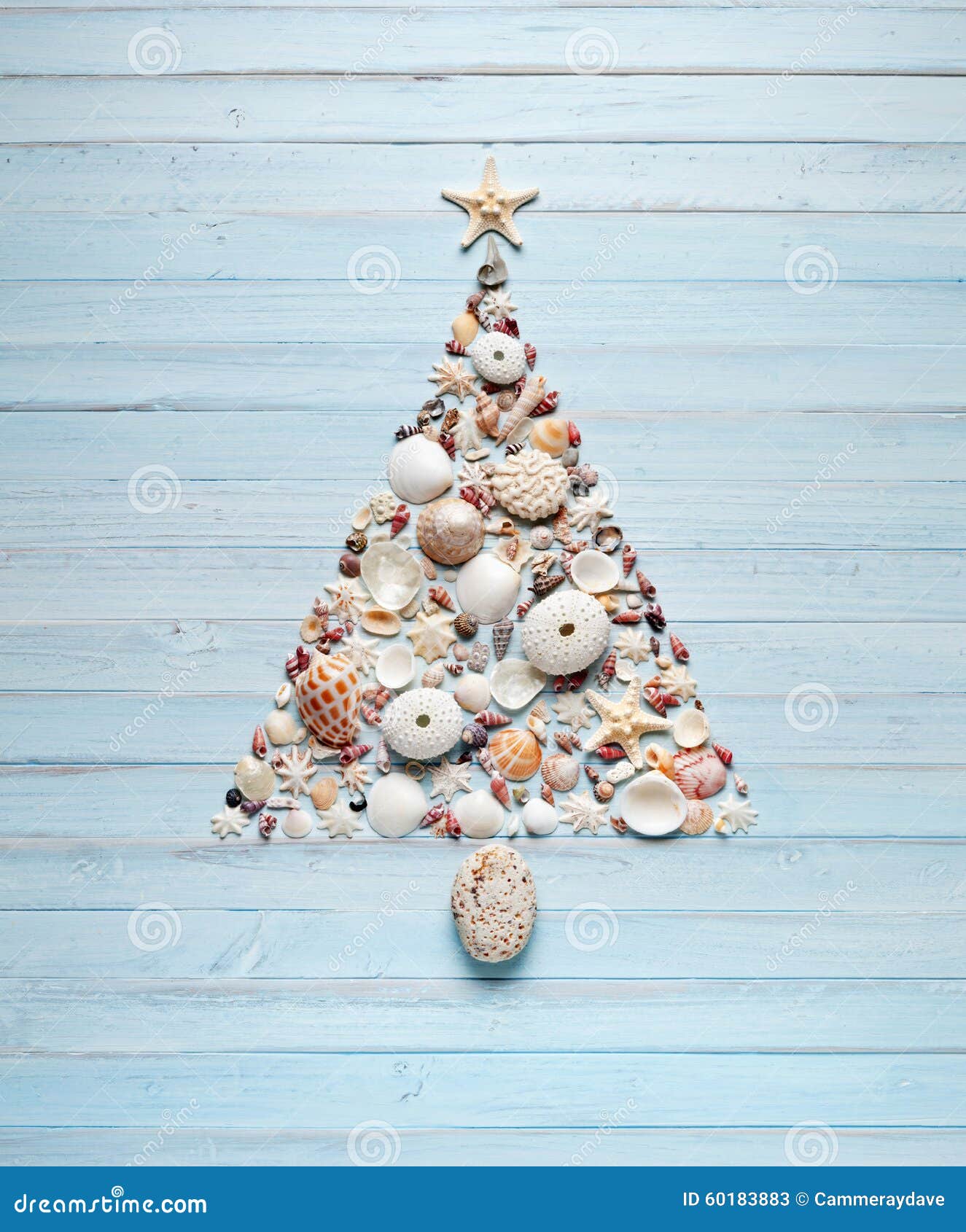 Tropical Christmas Tree Shells Background Stock Image - Image of ...