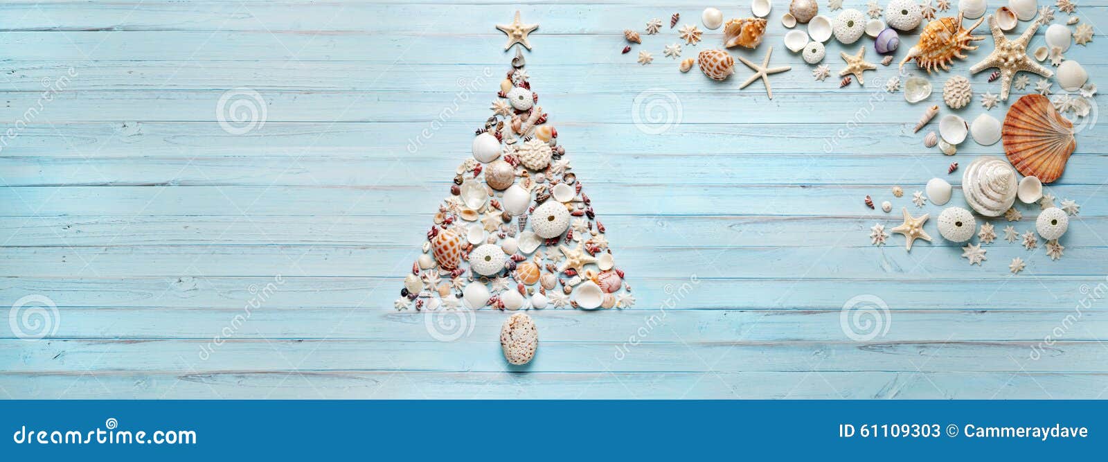 Australian Shells Christmas Stock Photos - Free & Royalty-Free Stock ...