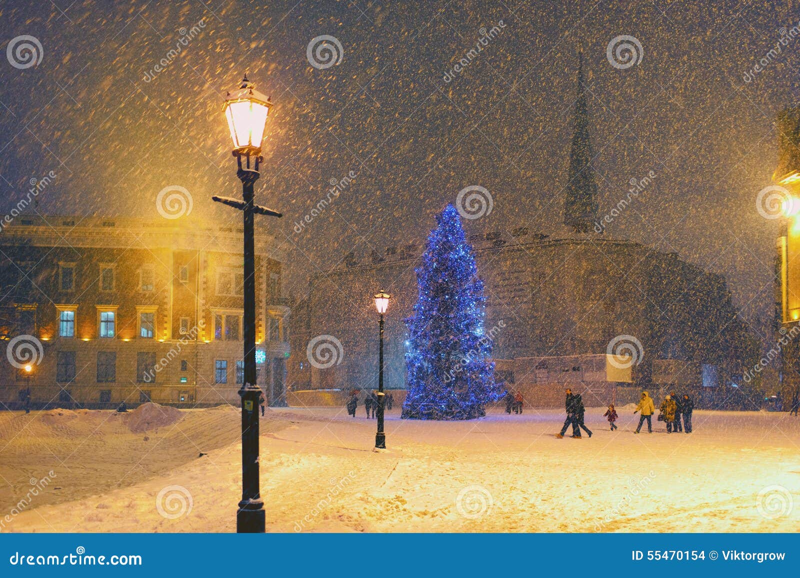 Christmas Tree in the Snow on the Dome Square in Riga Stock Photo ...