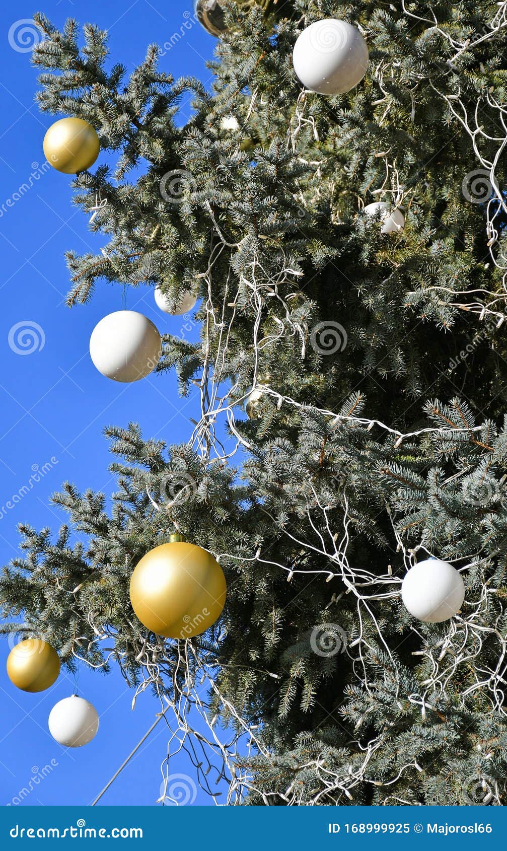 Christmas Tree with Sphere Ornaments Stock Image - Image of gold, green ...