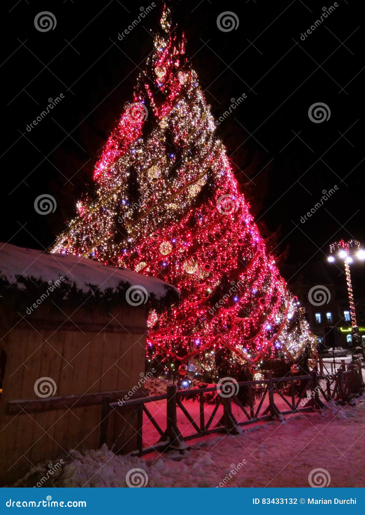 Christmas tree stock photo. Image of tree, light, nature - 83433132