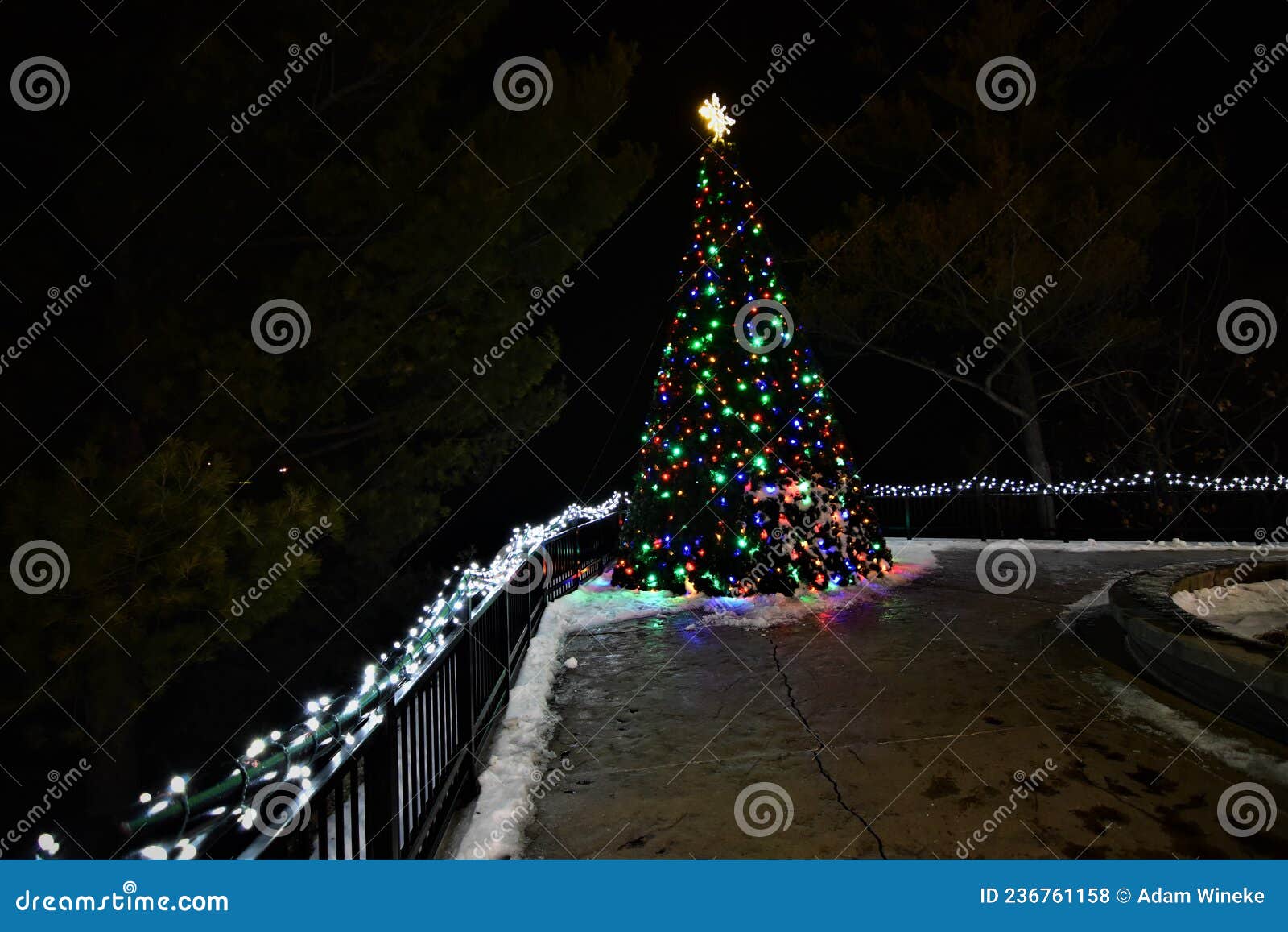 Wisconsin Dells Tree of Light Downtown Tree Stock Photo - Image of ...
