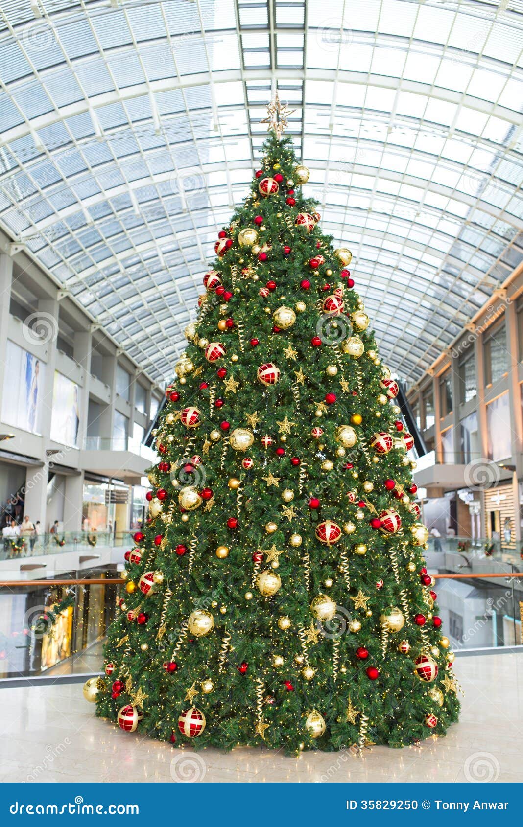 Christmas Tree stock photo. Image of centre, celebration - 35829250