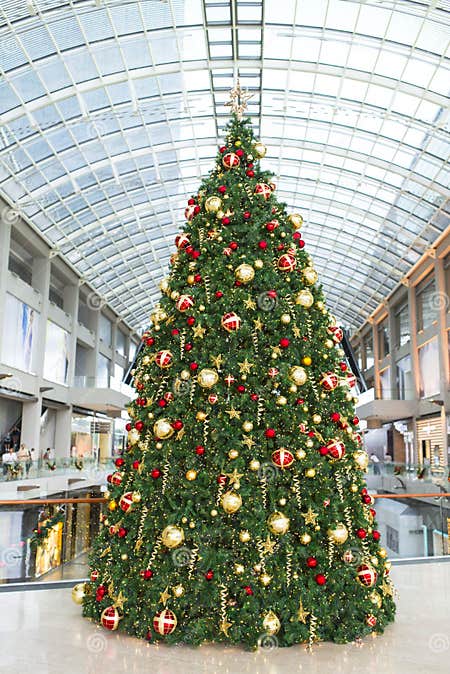 Christmas Tree stock photo. Image of centre, celebration - 35829250
