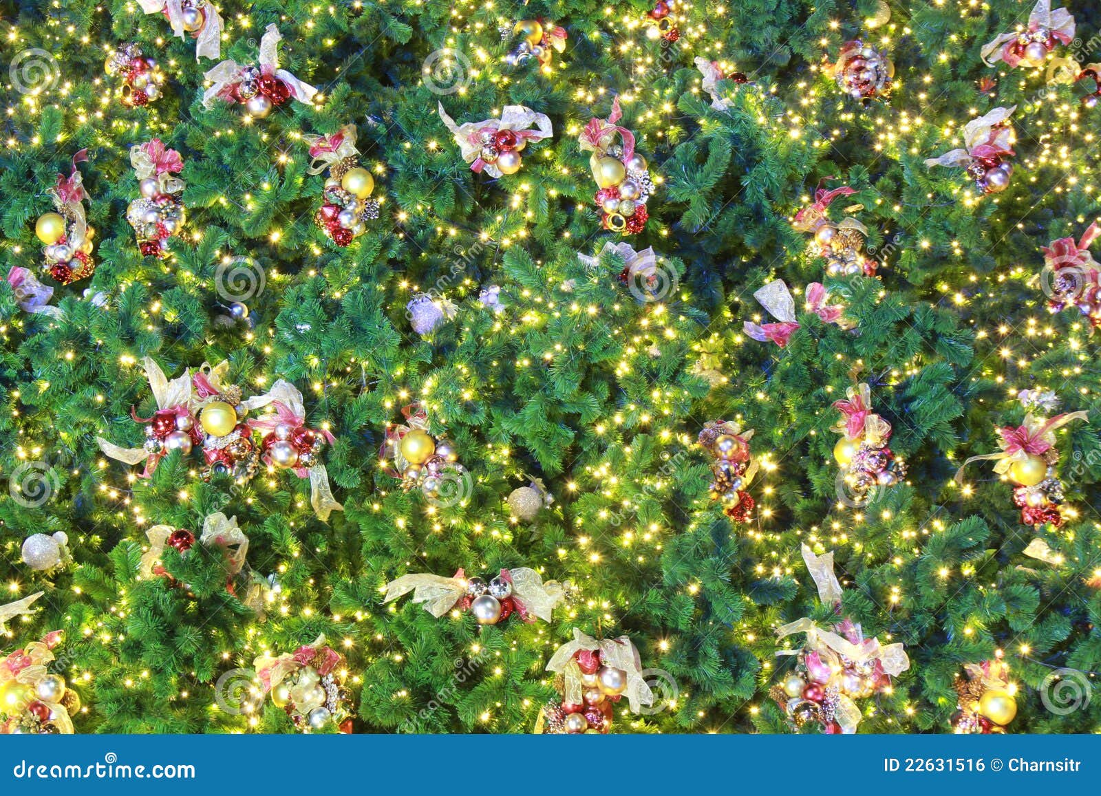 Christmas tree texture stock photo. Image of season, closeup - 22631516