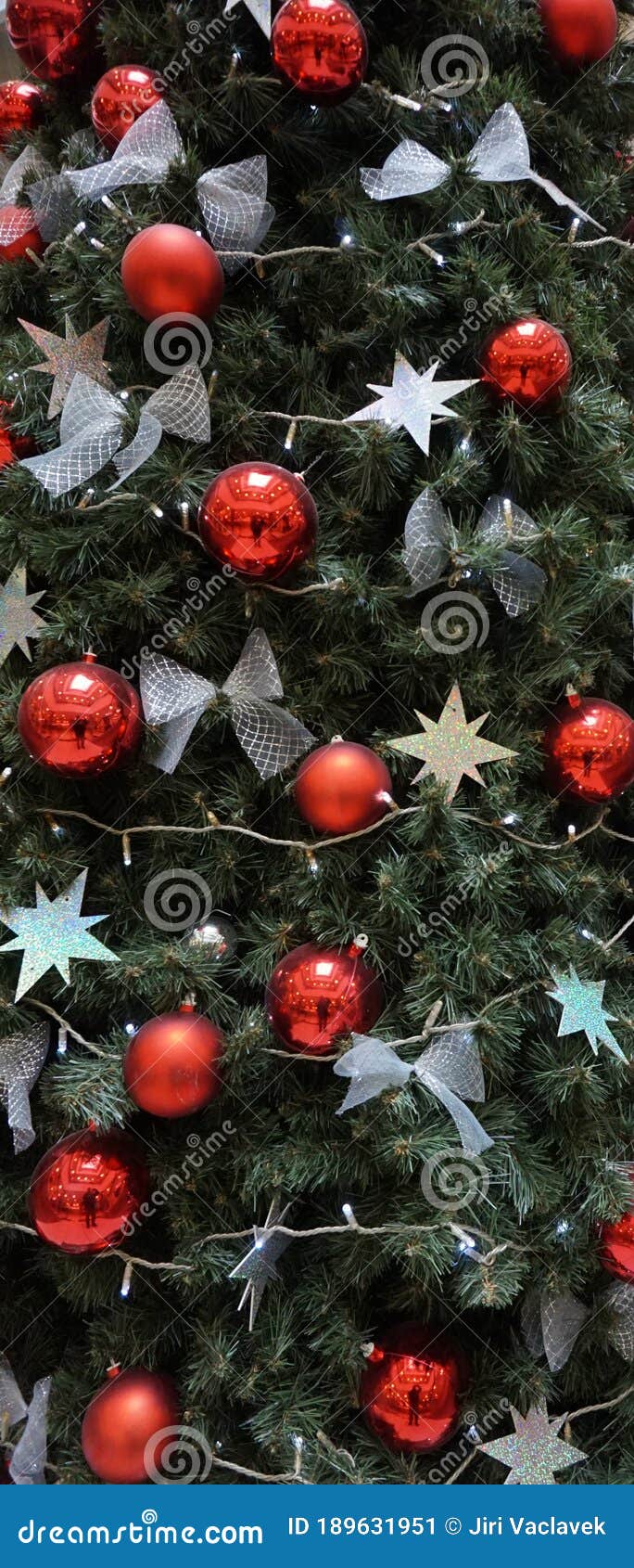 Christmas tree texture stock image. Image of winter - 189631951