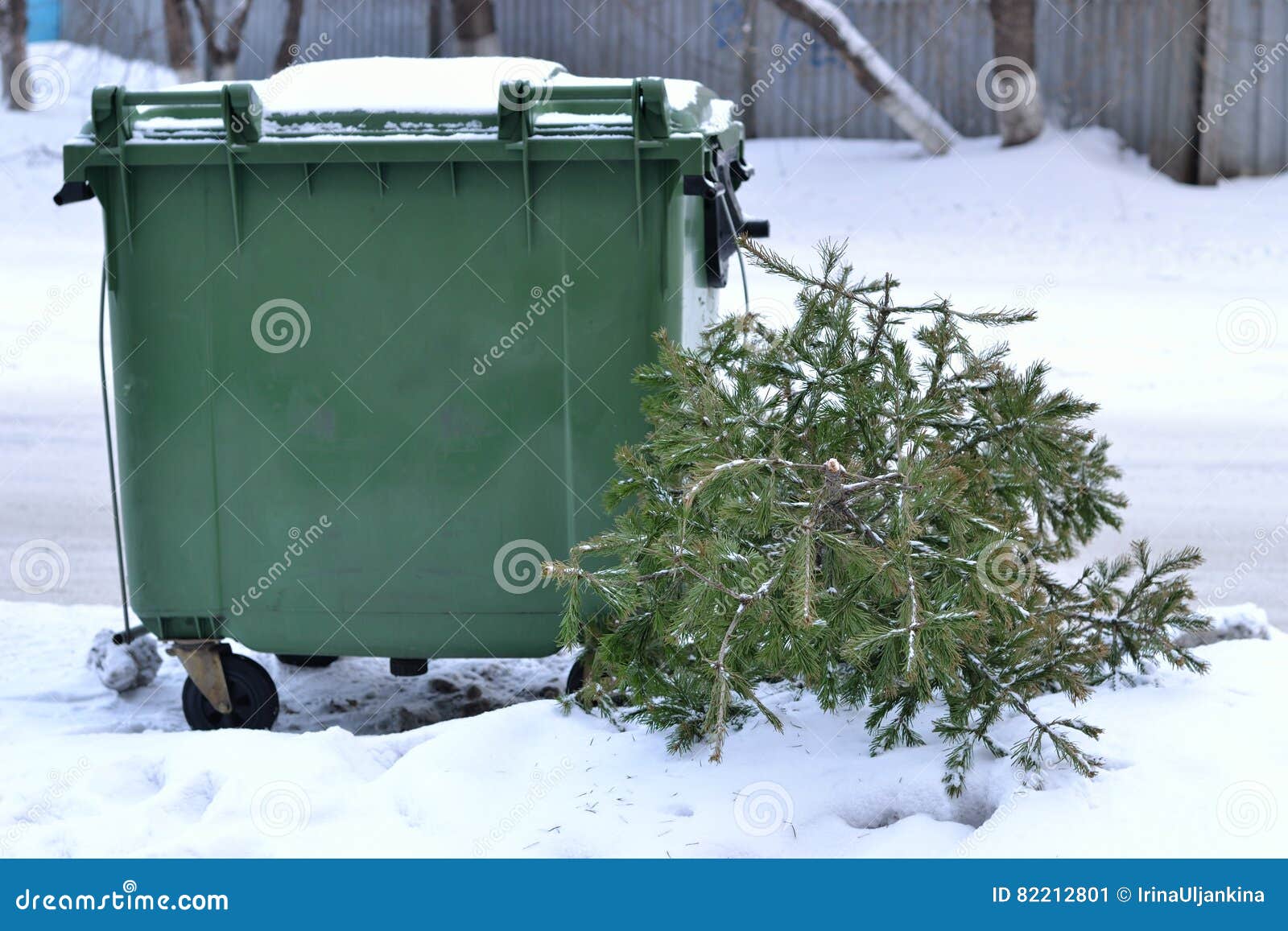 Christmas tree is thrown. stock image. Image of christmas - 82212801