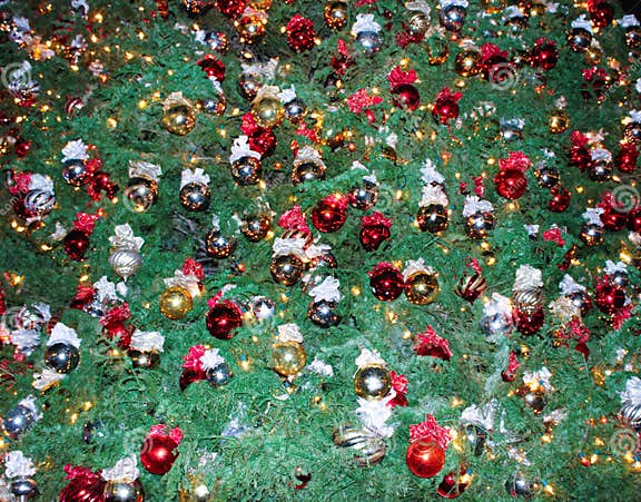 Christmas Tree at Christmas Time Stock Photo - Image of night, lights ...