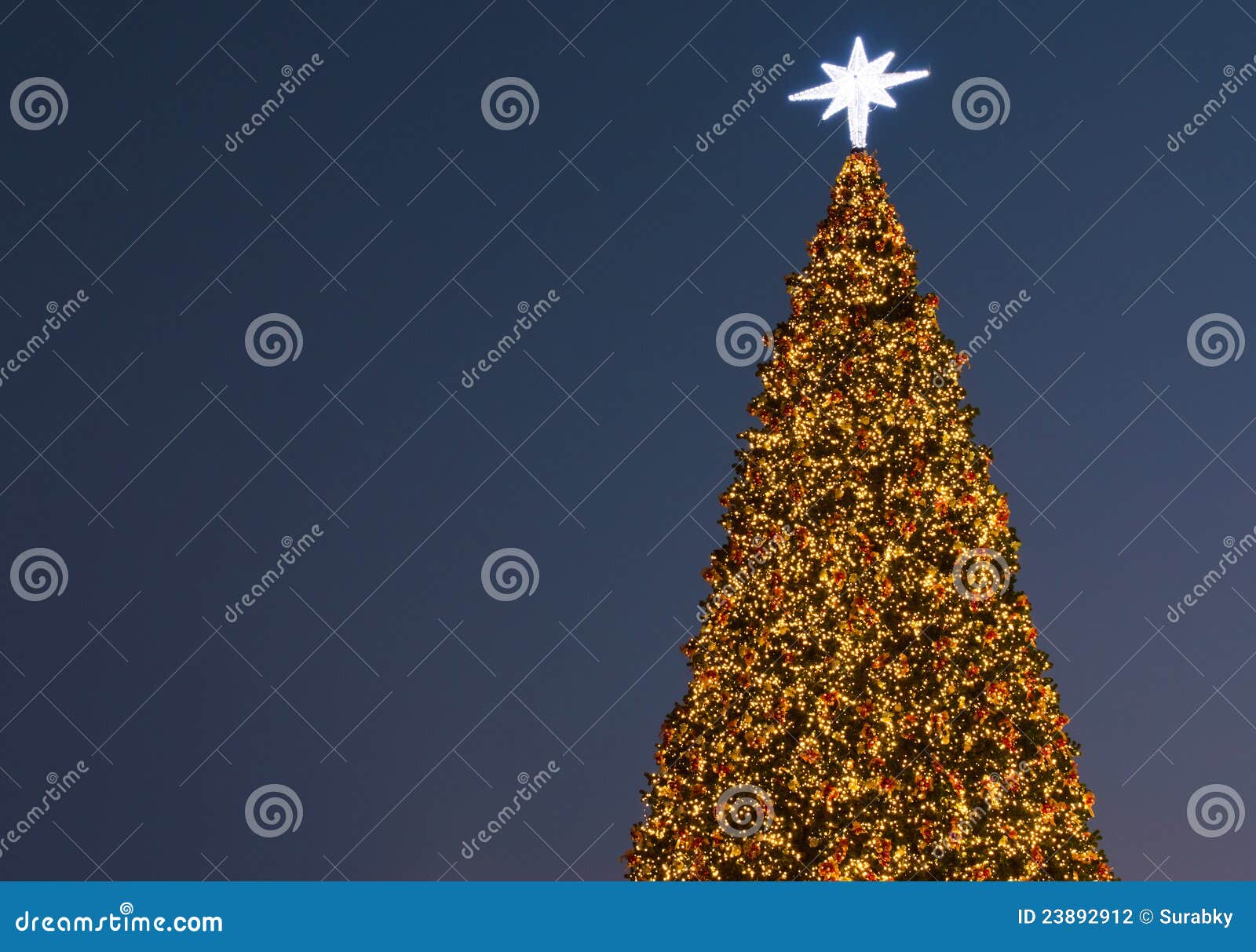 Christmas tree at twilight stock photo. Image of lights - 23892912