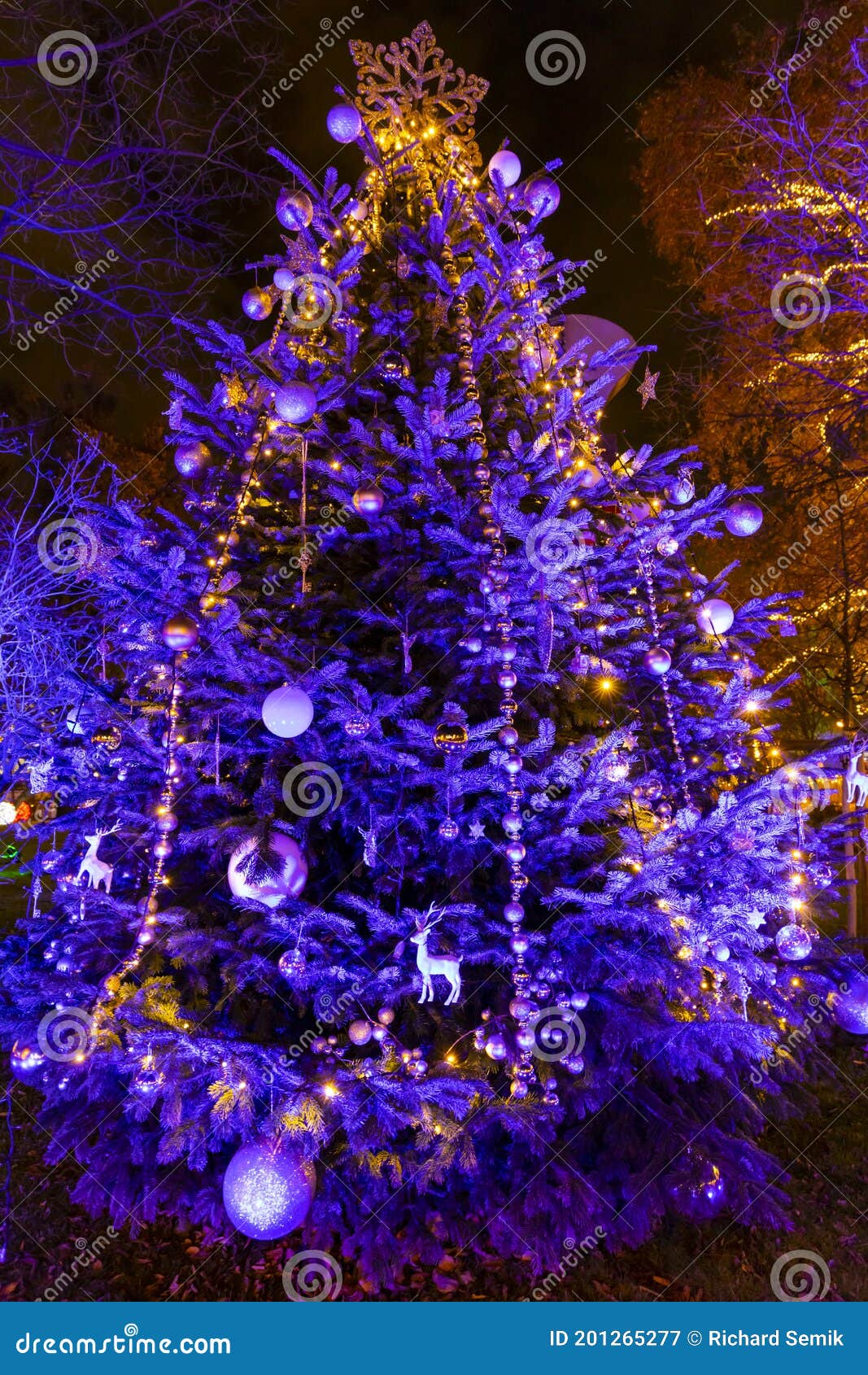 Christmas Tree in Vienna, Austria Stock Image - Image of town, december ...
