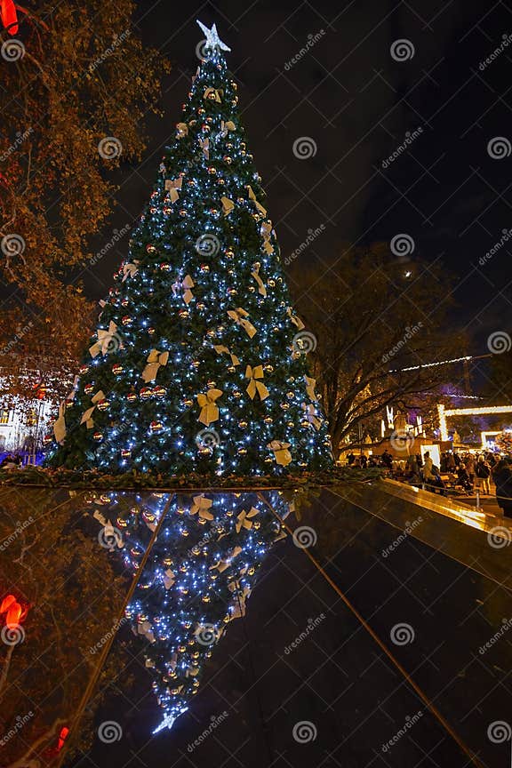 Christmas Tree in Vienna, Austria Stock Image - Image of landmark, xmas ...