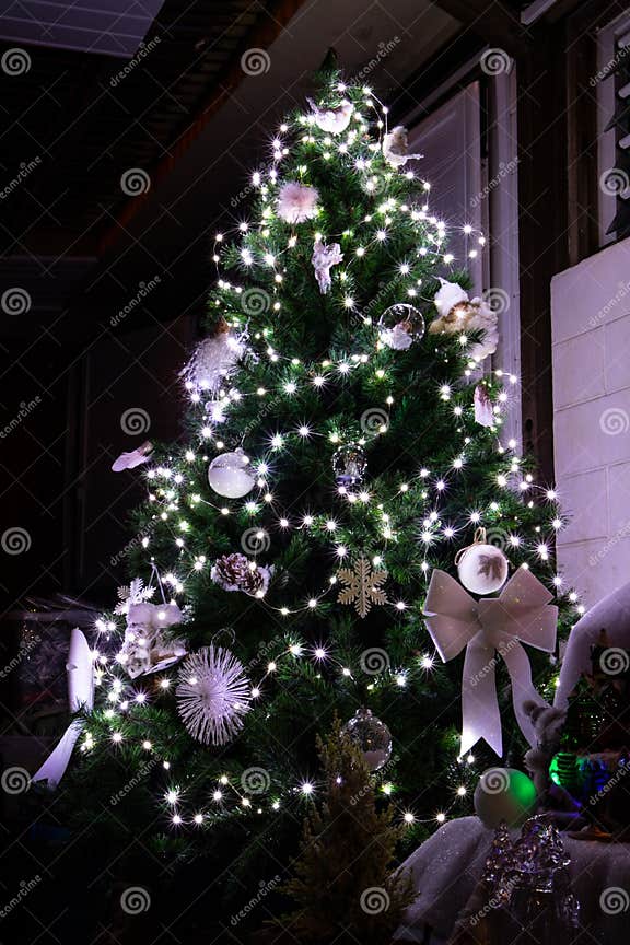 Christmas Tree with White Lights Stock Image - Image of black, plant ...