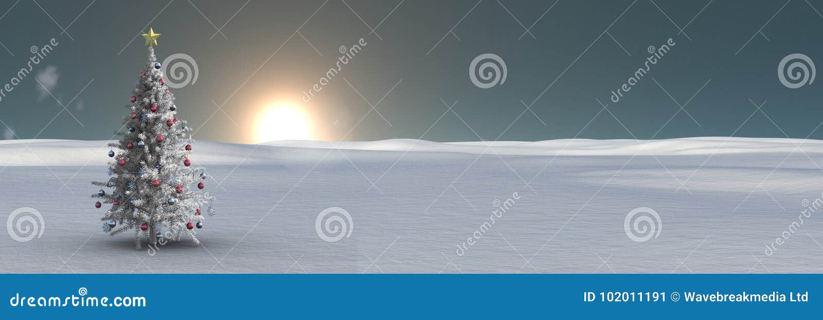 Christmas Tree in Winter Landscape with Sunrise Stock Image - Image of ...