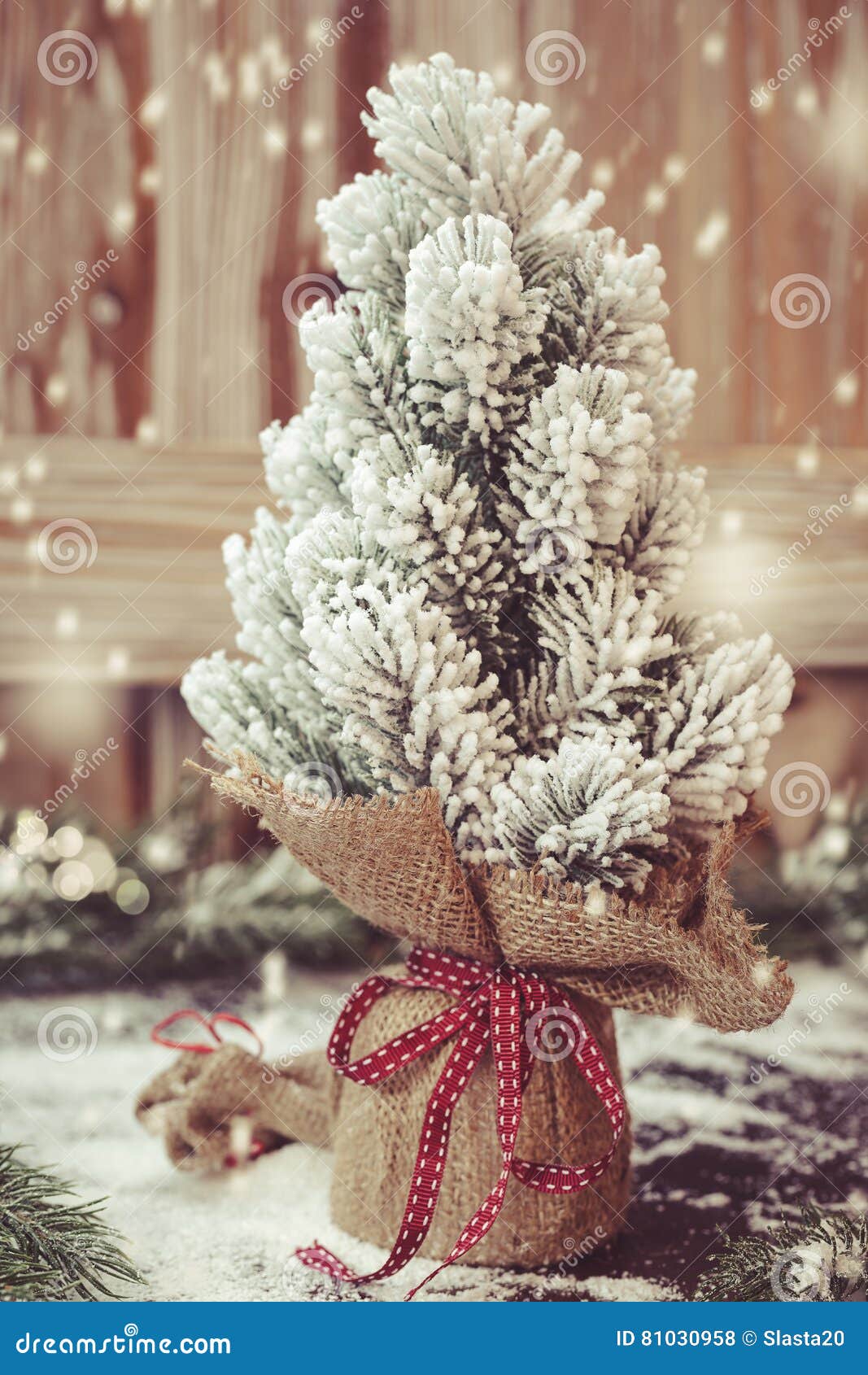 Christmas Tree Wrapped in Burlap Stock Photo - Image of pine, plain ...
