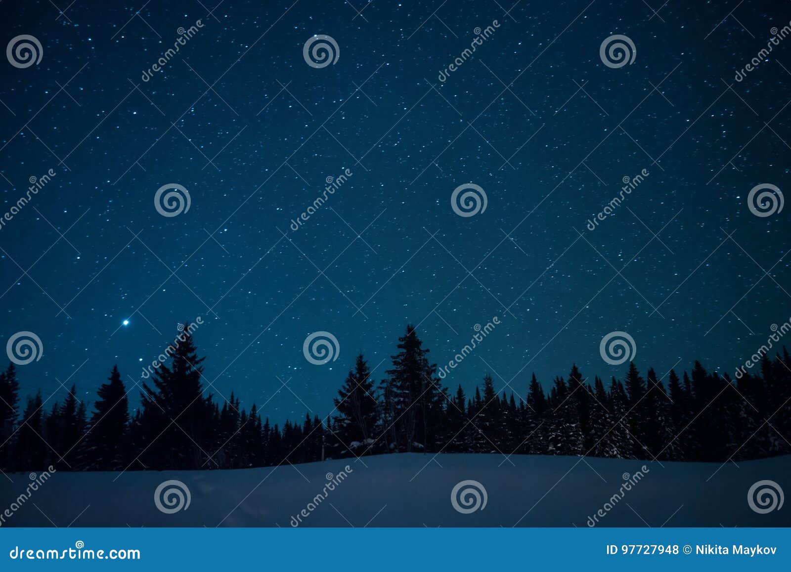 Christmas Trees on the Background of the Starry Winter Sky. Stock Photo ...