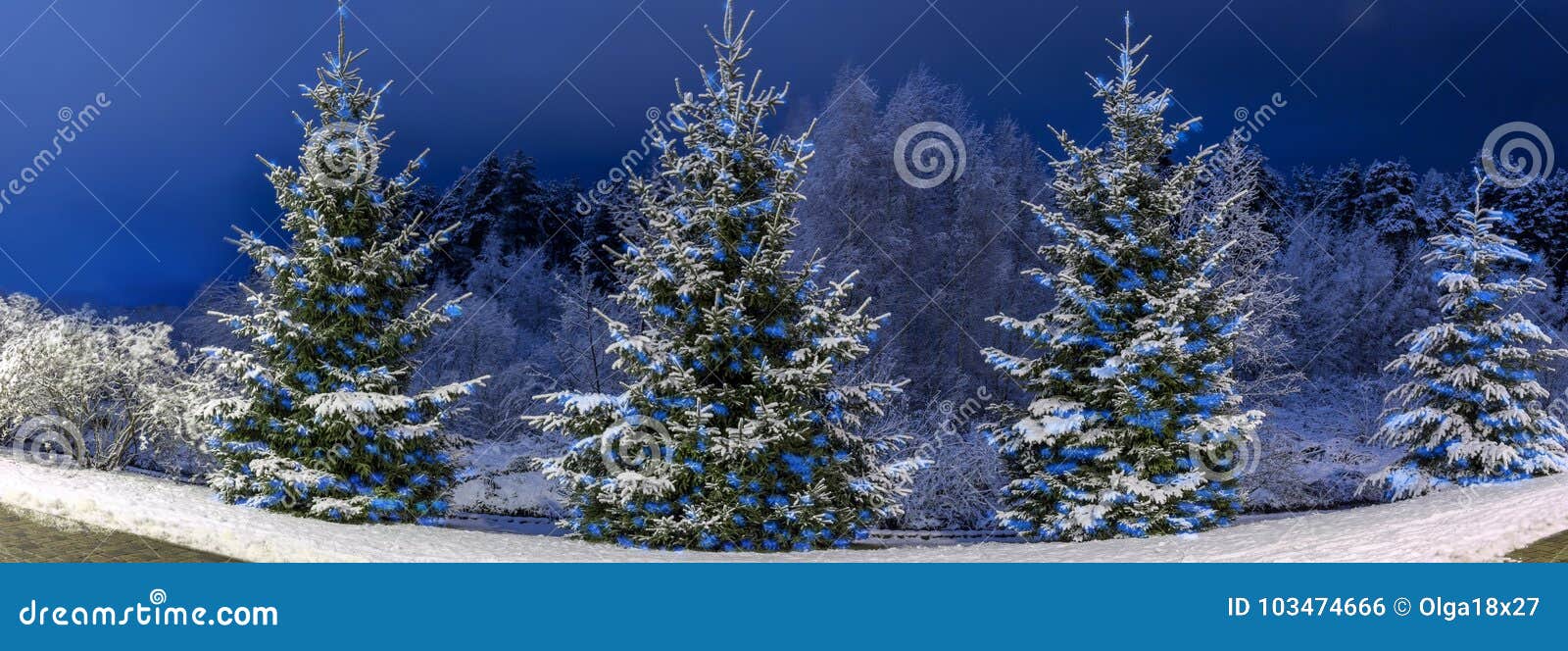 Christmas Trees Decorated with Lights. Panoramic View. Christmas Night ...