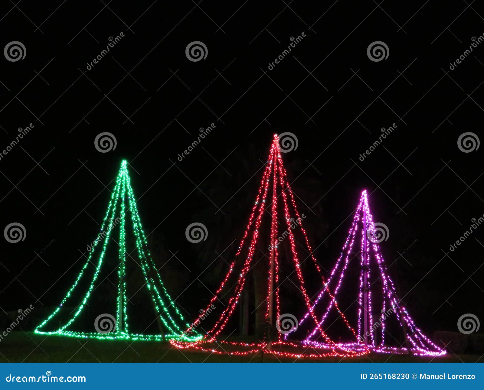 Christmas Trees Illuminated with Colored Bulbs Happiness Illusion Party ...