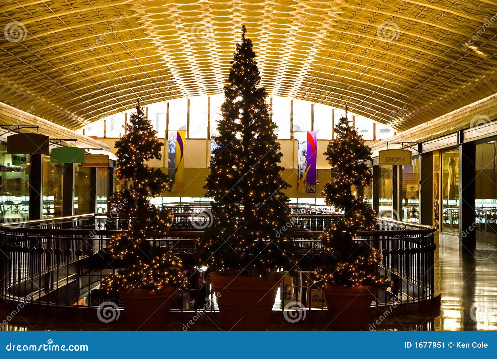 Christmas Trees in Shopping Mall Stock Image - Image of businesses ...