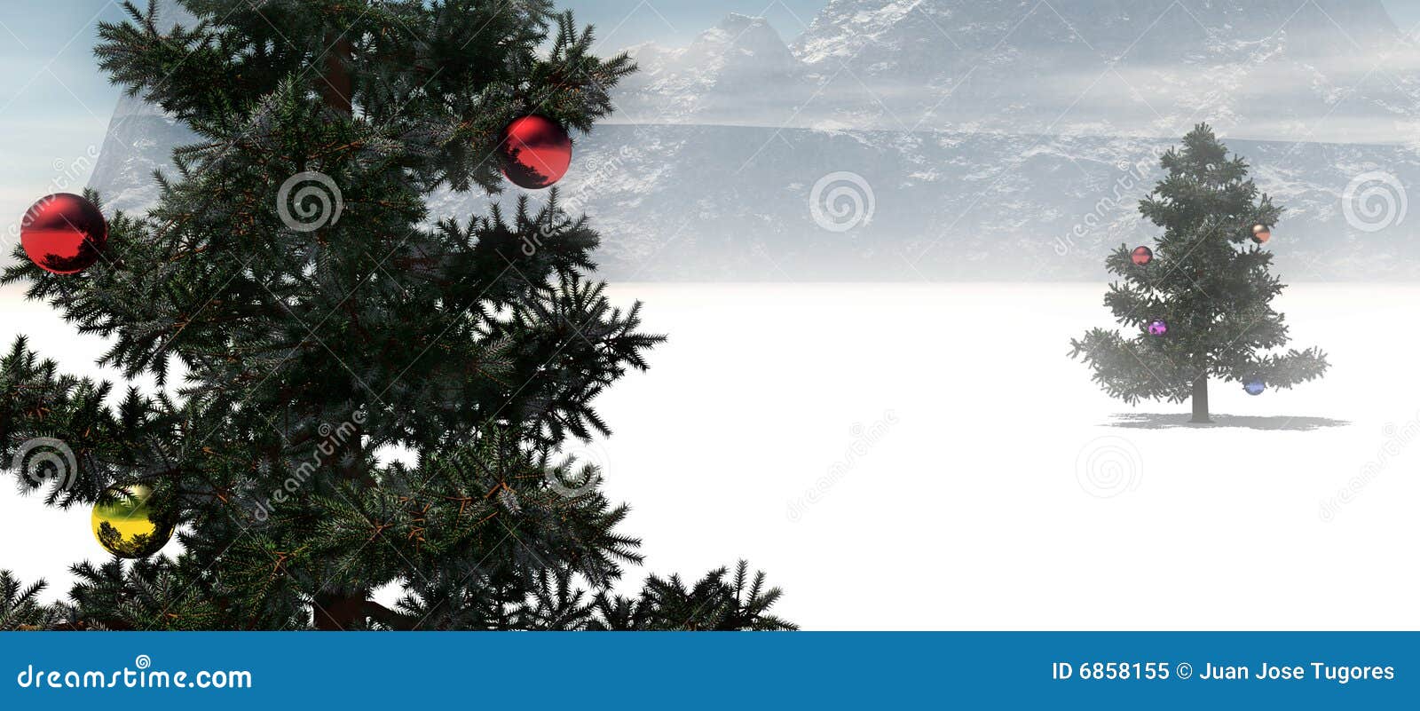 Christmas Trees in Snowfield Stock Illustration - Illustration of ...