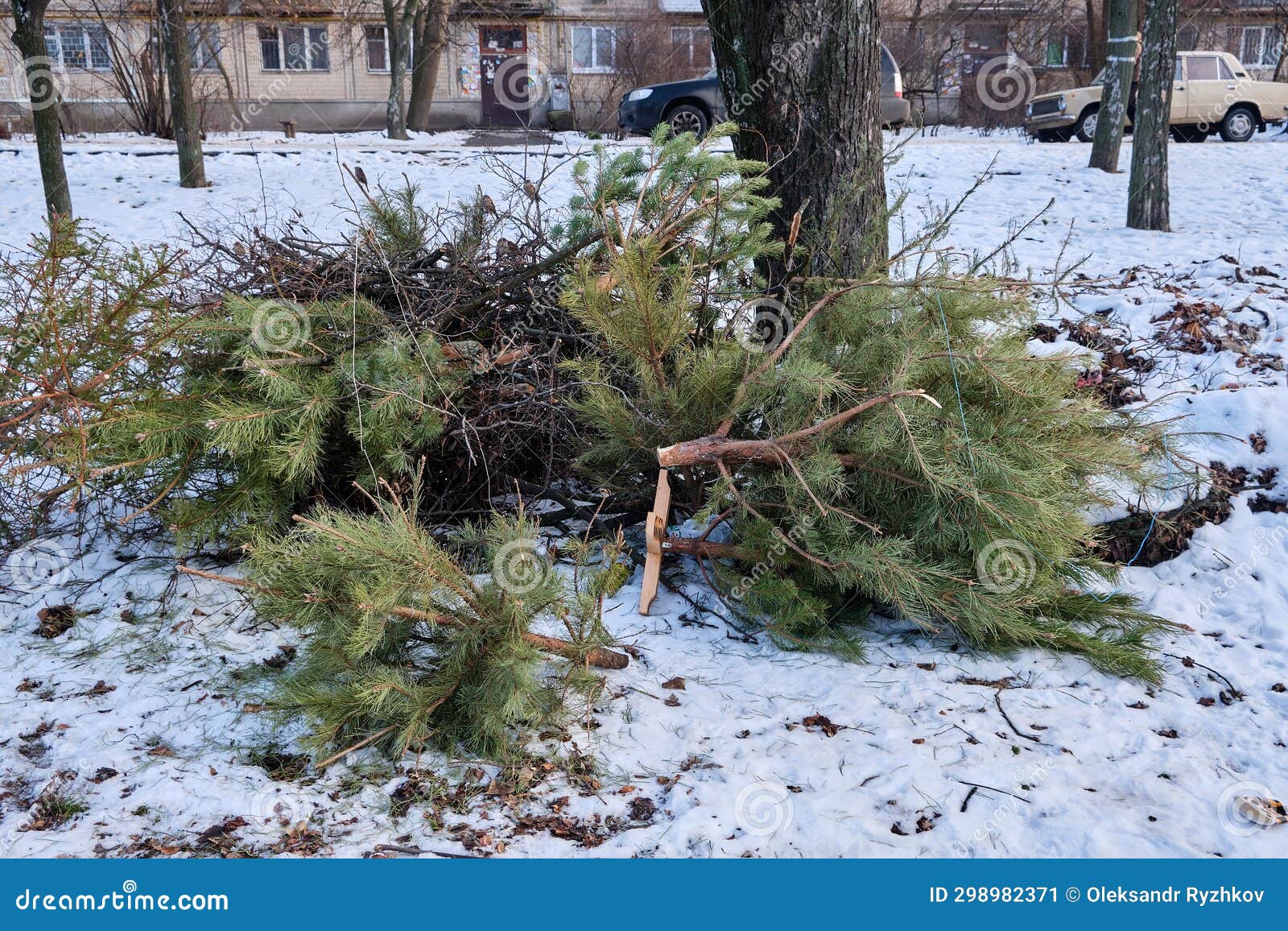 Christmas trees thrown stock image. Image of away, city - 298982371