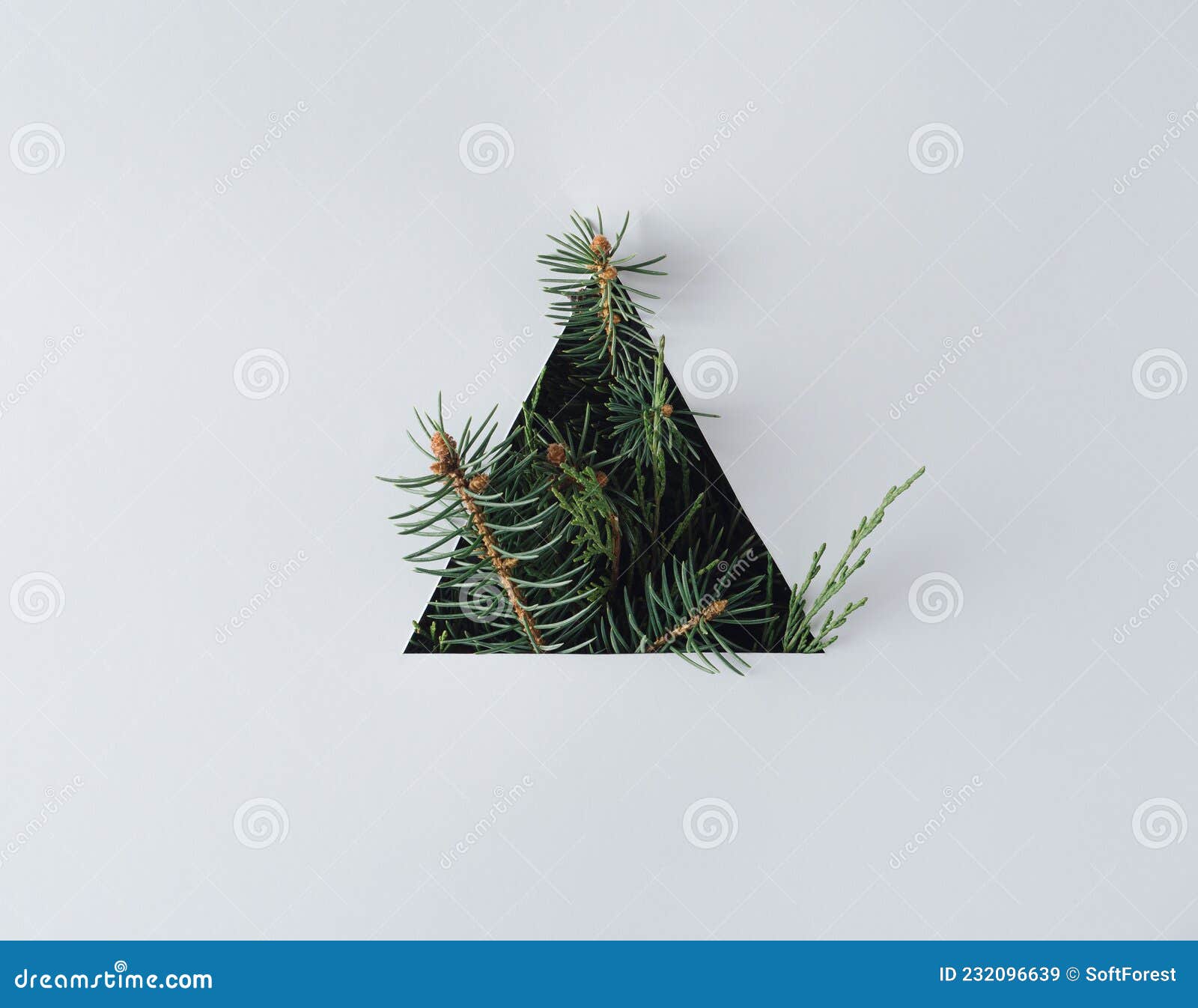 Evergreen Triangle Shape Trimmed Topiary Tree In Terracotta Pot ...