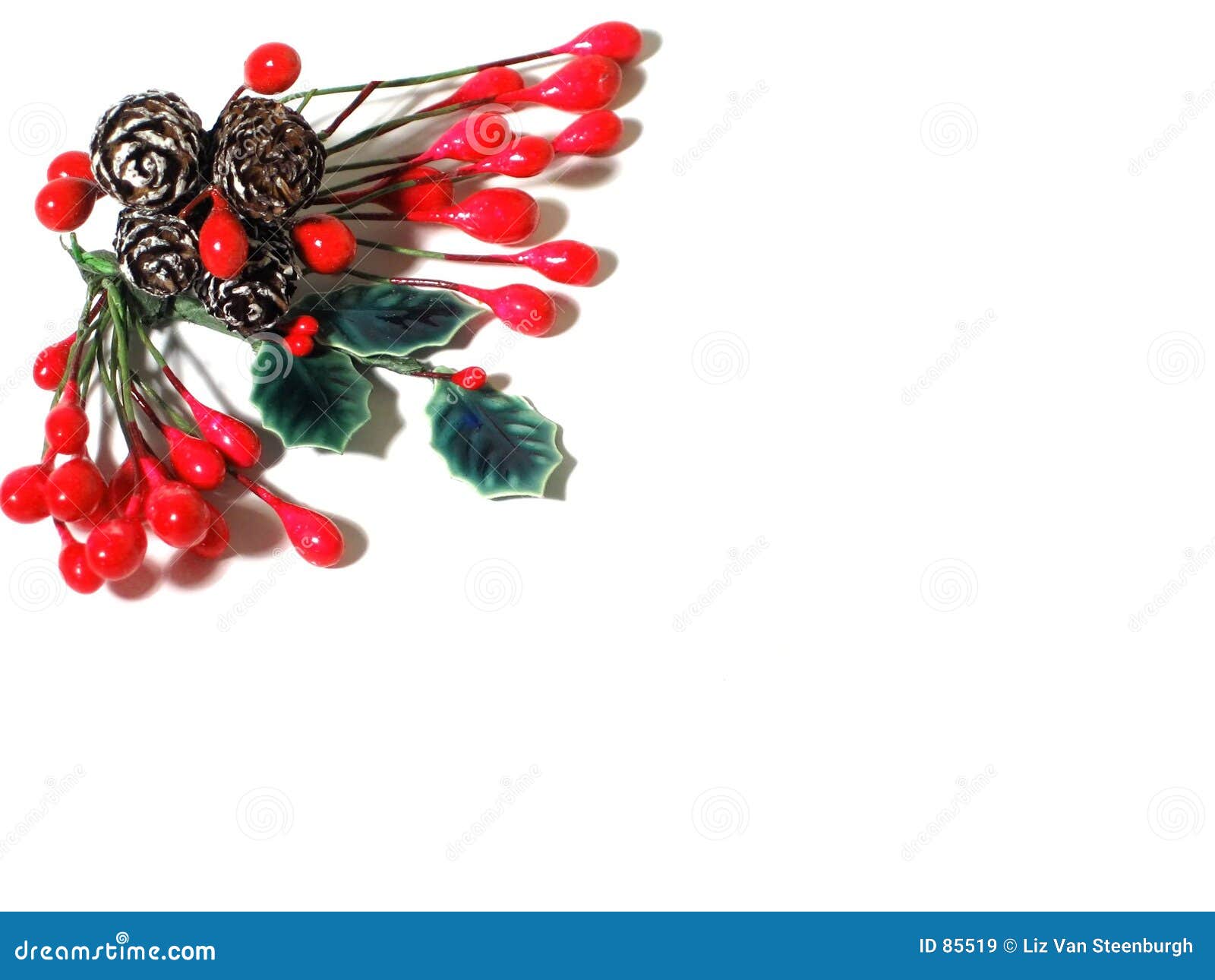 Christmas Trim stock image. Image of decoration, berry, craft - 85519