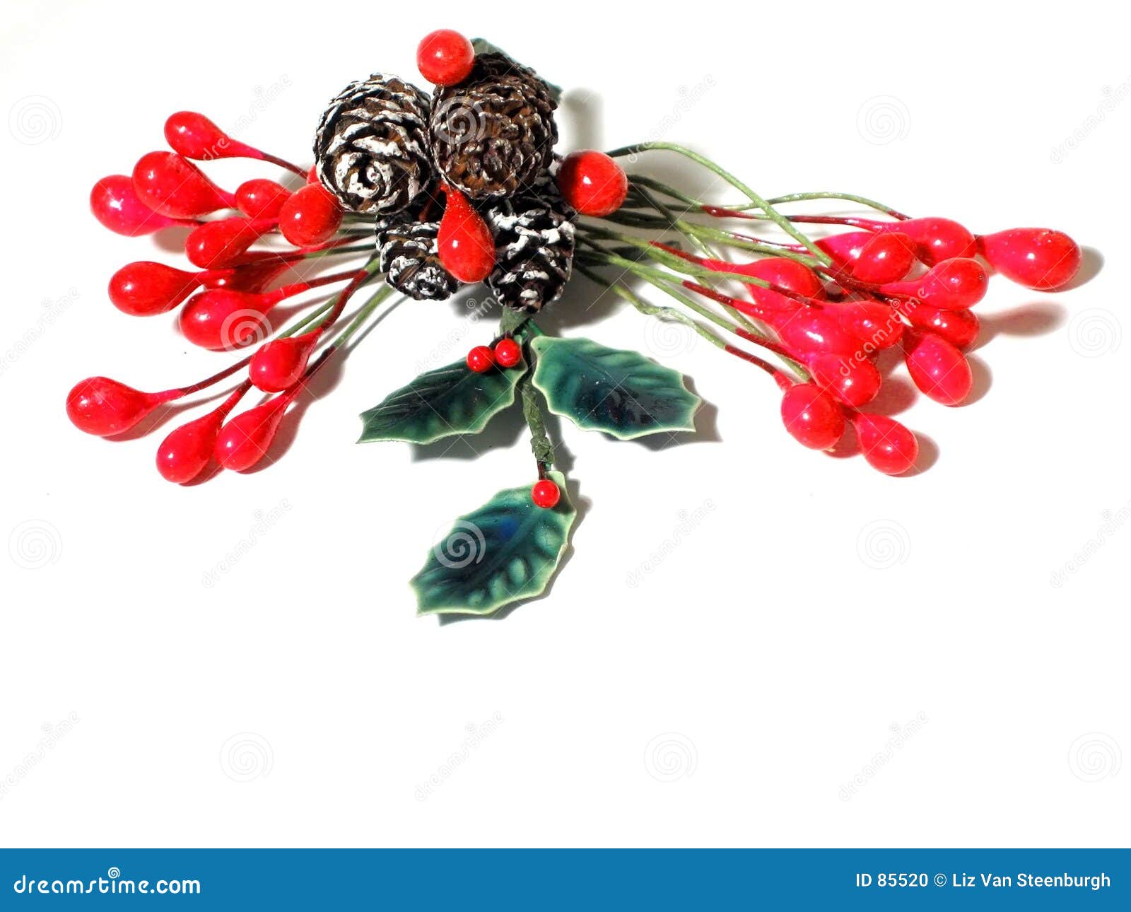 Christmas Trim stock photo. Image of artificial, decoration - 85520
