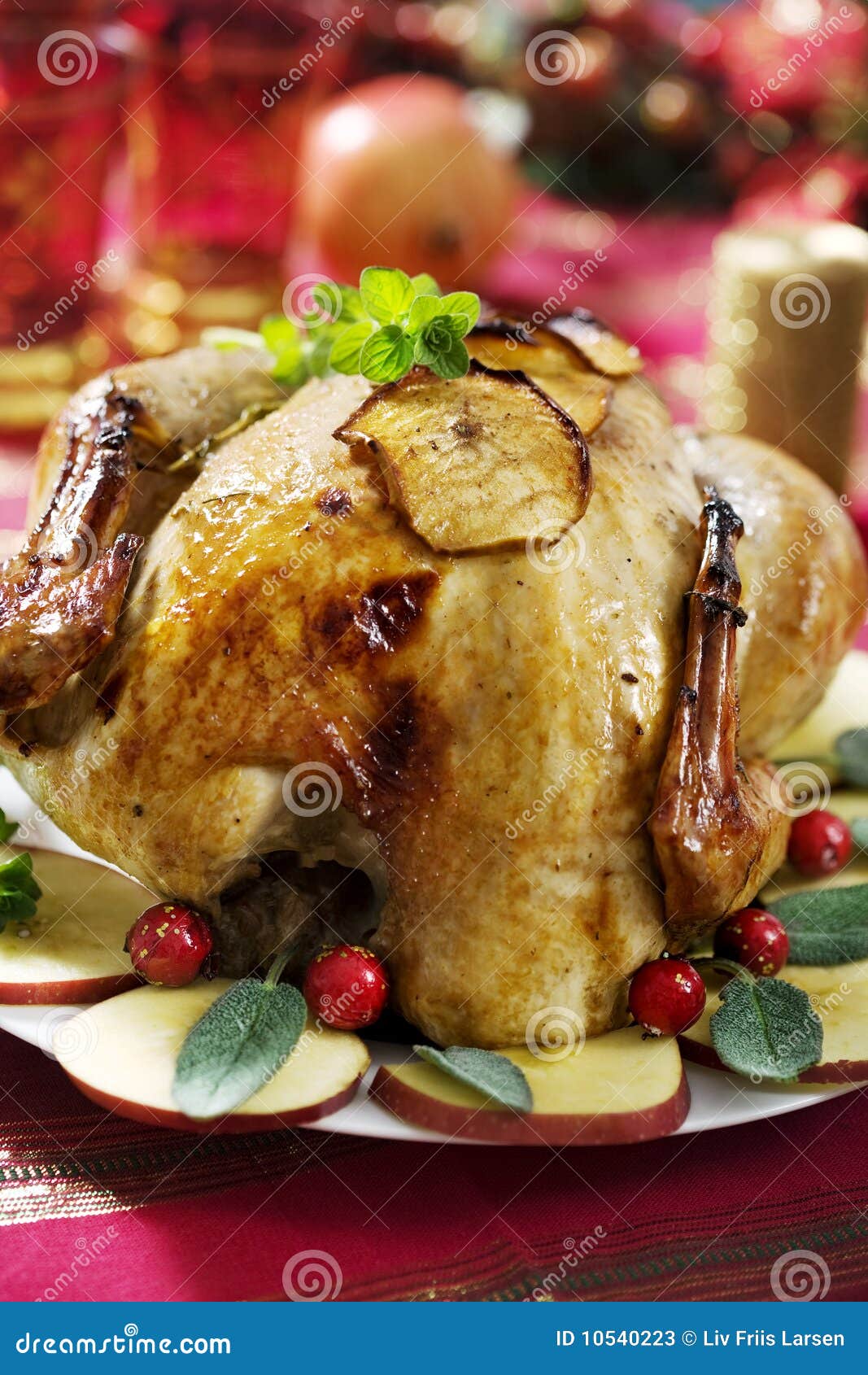 Christmas turkey stock image. Image of apples, seasonal - 10540223