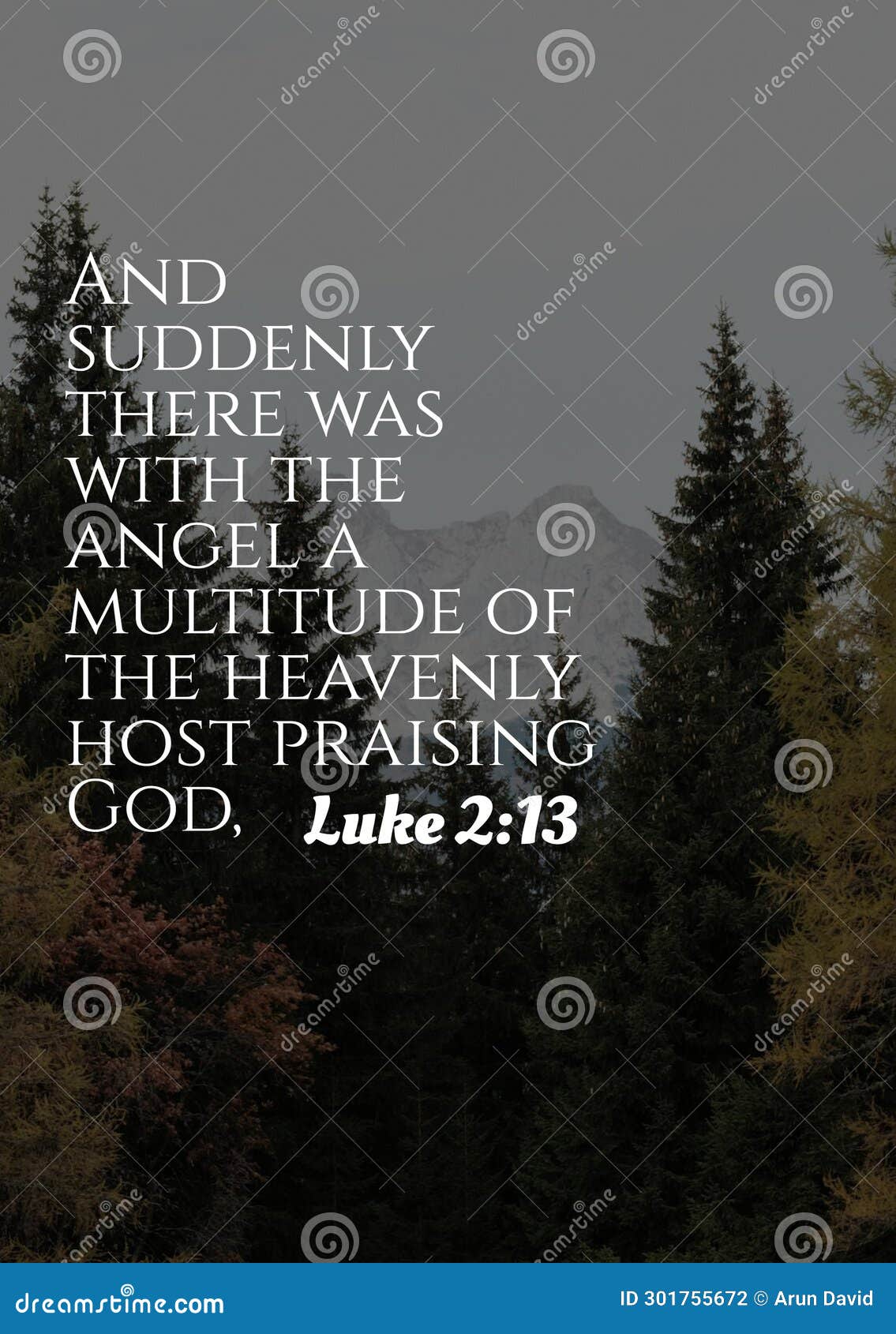 Christmas Verses from the Bible and Suddenly There Was with the Angel a ... Christmas Verses from the Bible and Suddenly There Was with the Angel a ...