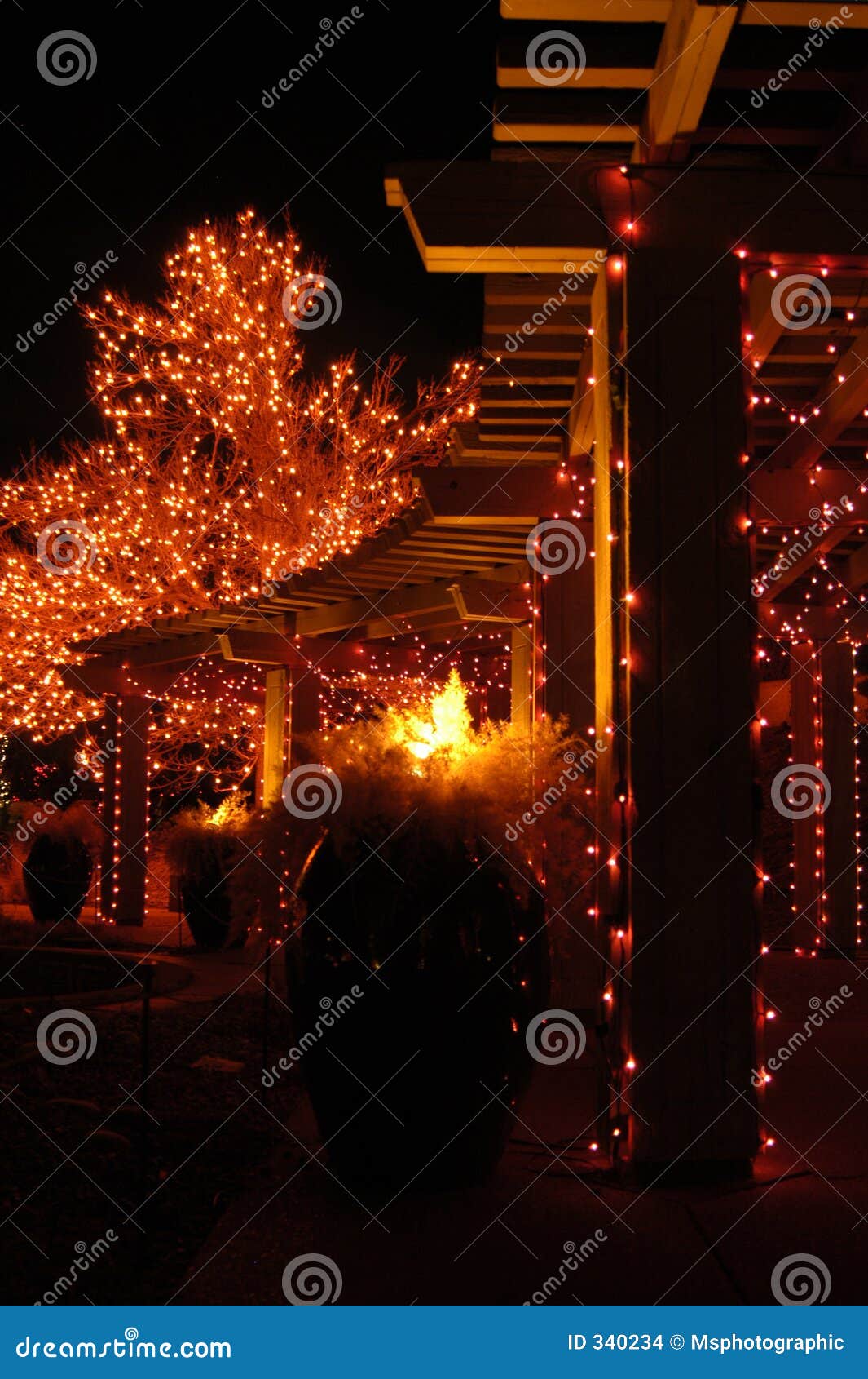 Christmas Walk stock photo. Image of landscape, illuminated - 340234