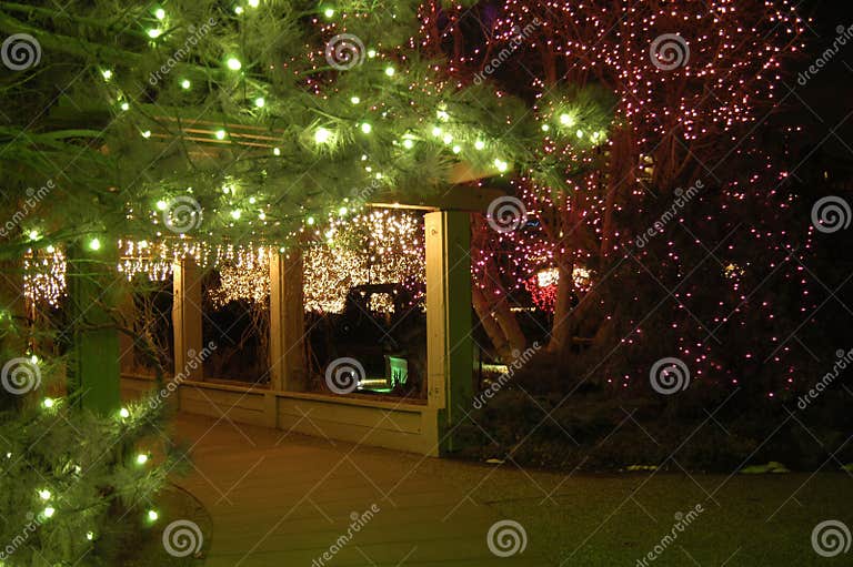 Christmas Walk stock photo. Image of walkway, white, lights - 356376