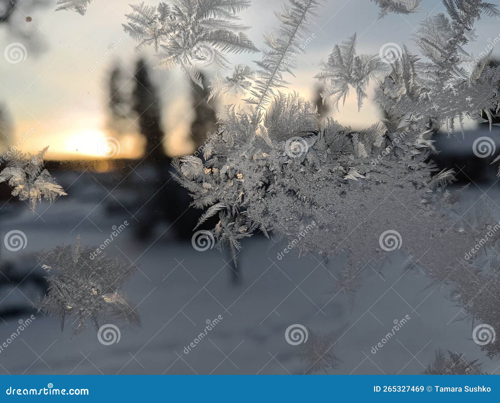 Christmas Window Background, Art by Frost Stock Image - Image of ...