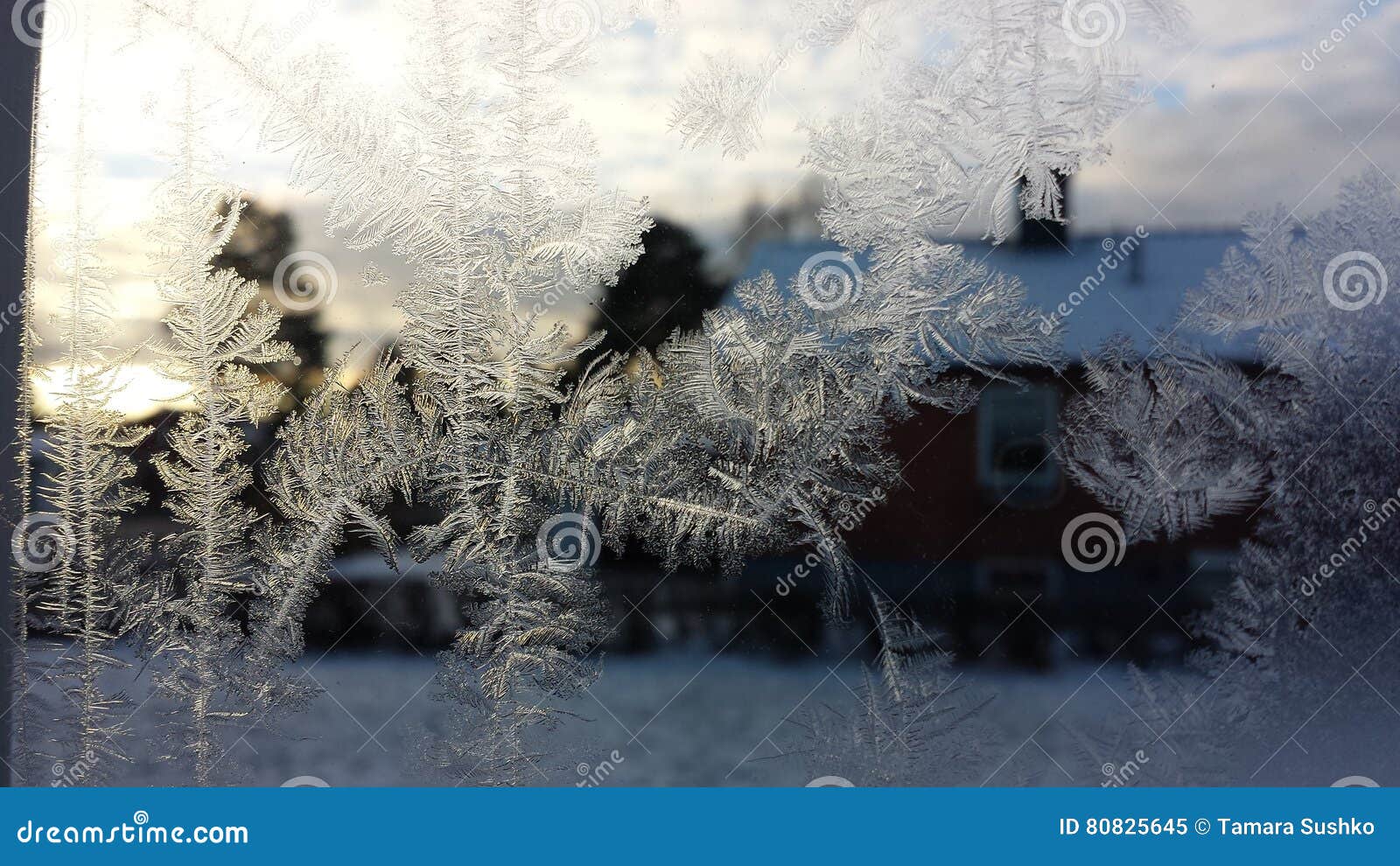 Christmas windows stock image. Image of phenomenon, window - 80825645