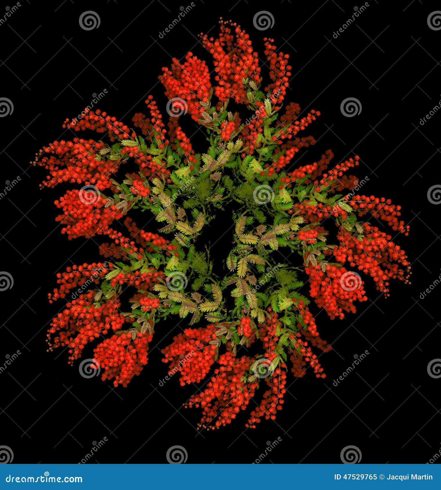 Christmas wreath stock image. Image of native, green - 47529765