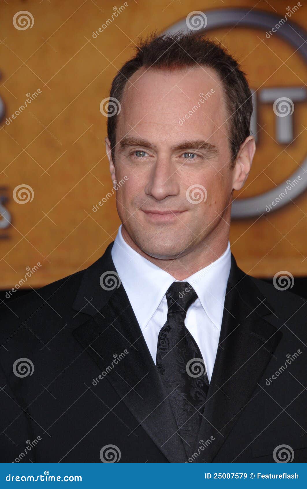 Christopher Meloni image stock éditorial. Image du janvier - 25007579