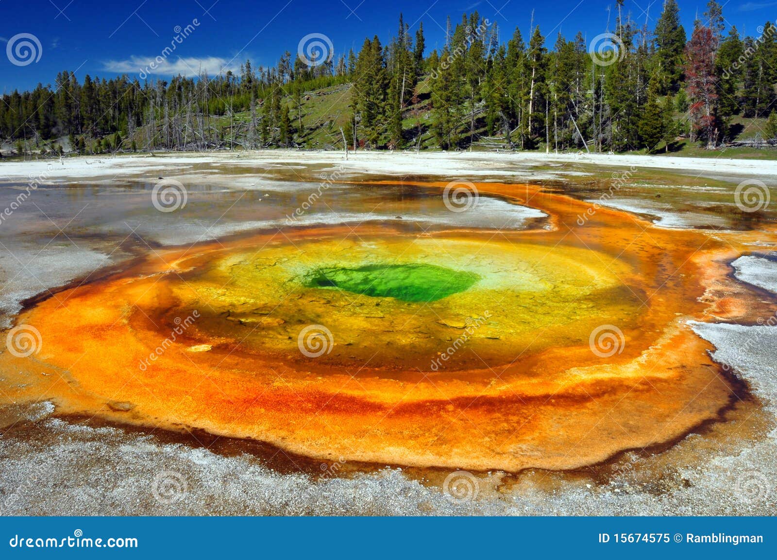 Chromatic Spring. Yellowstone National Park Stock Image - Image of ...