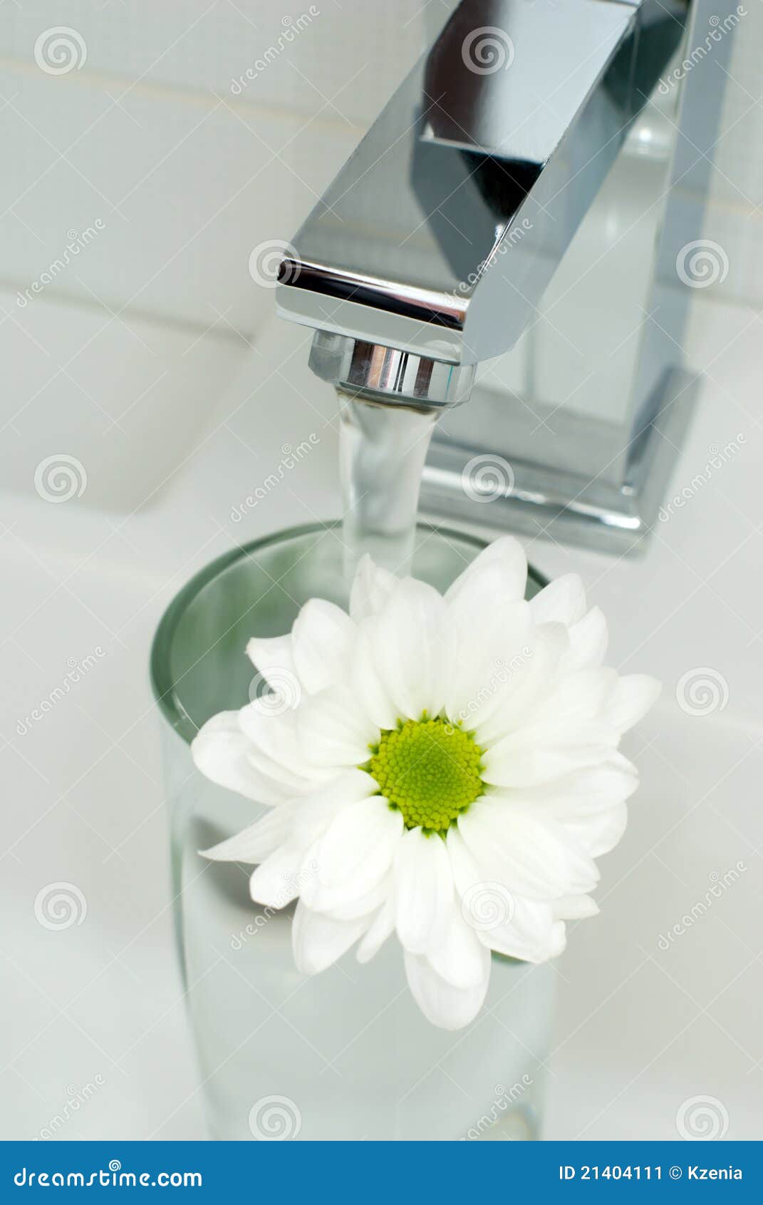 Chrome Tap Water and Flower Stock Image - Image of flower, basin: 21404111