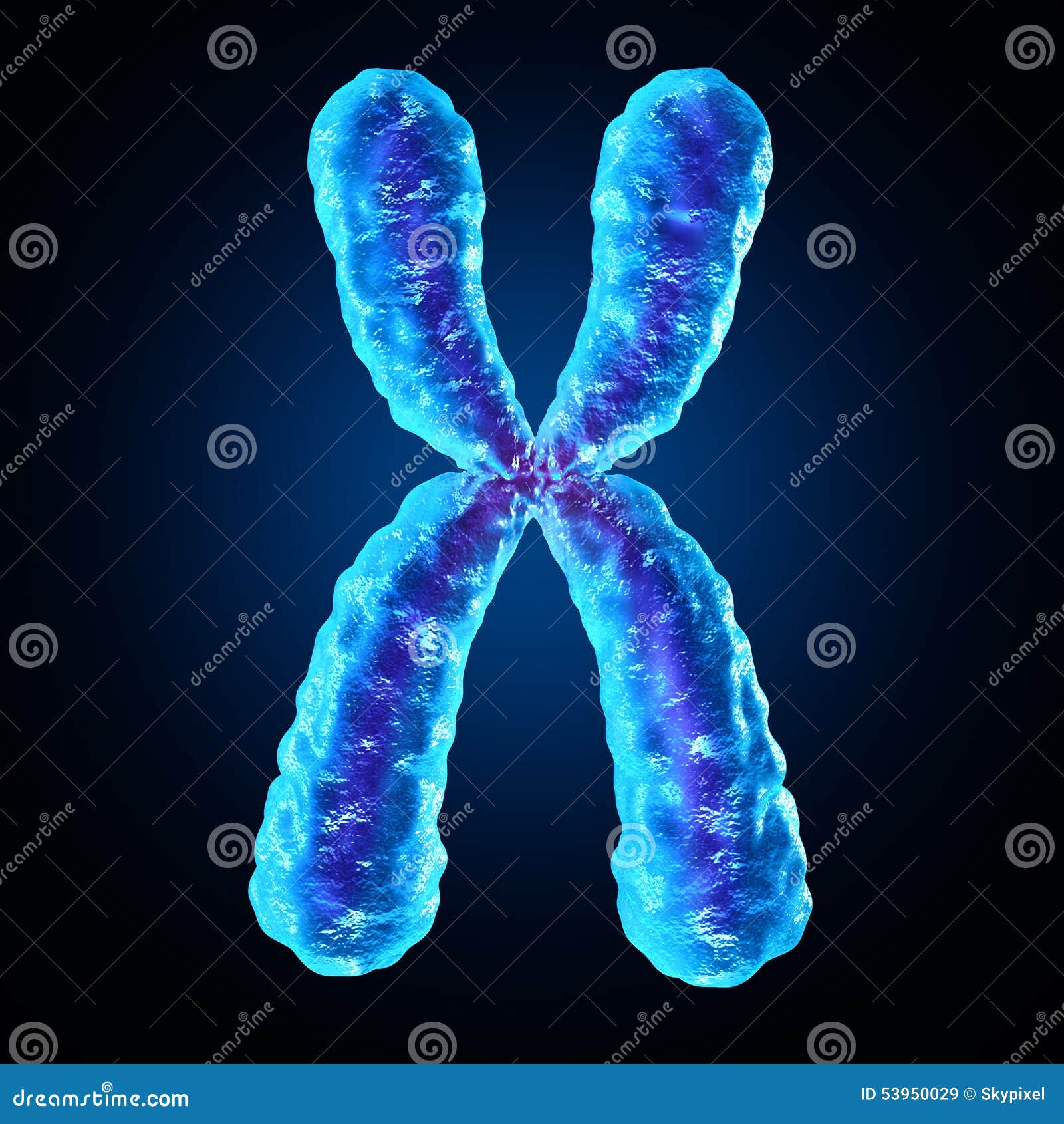 Chromosom stock abbildung. Illustration von symbol, mikrobiologie ...