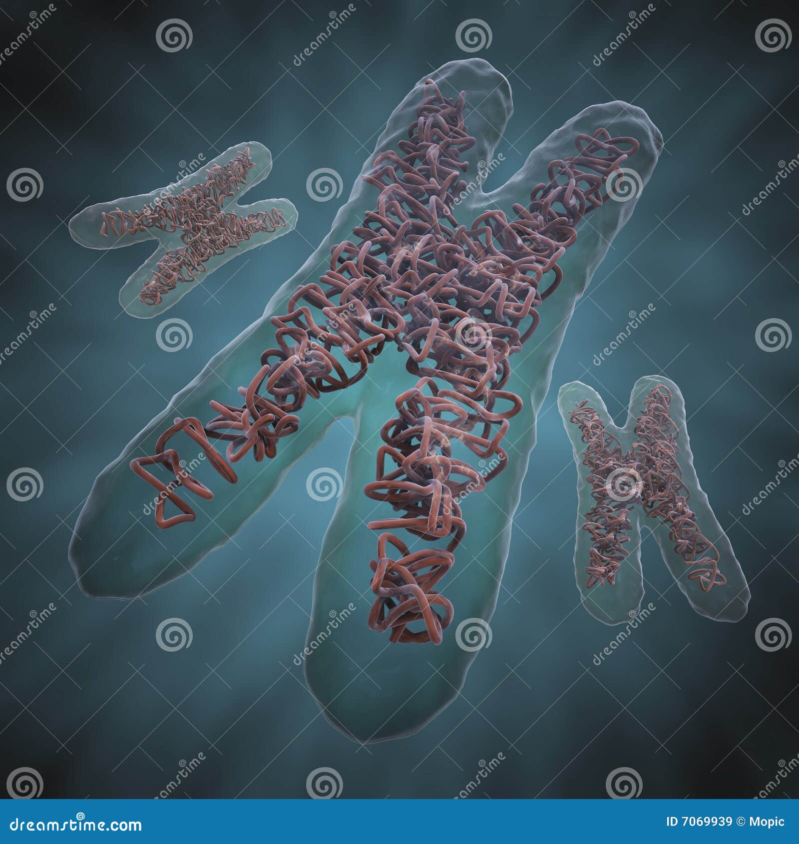 Chromosom X stock abbildung. Illustration von chemie, experiment - 7069939