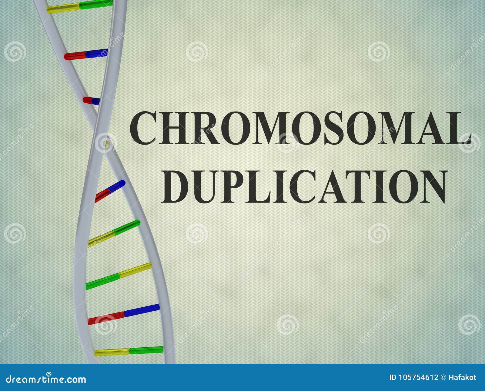 Chromosomal Duplication Concept Stock Illustration - Illustration of ...