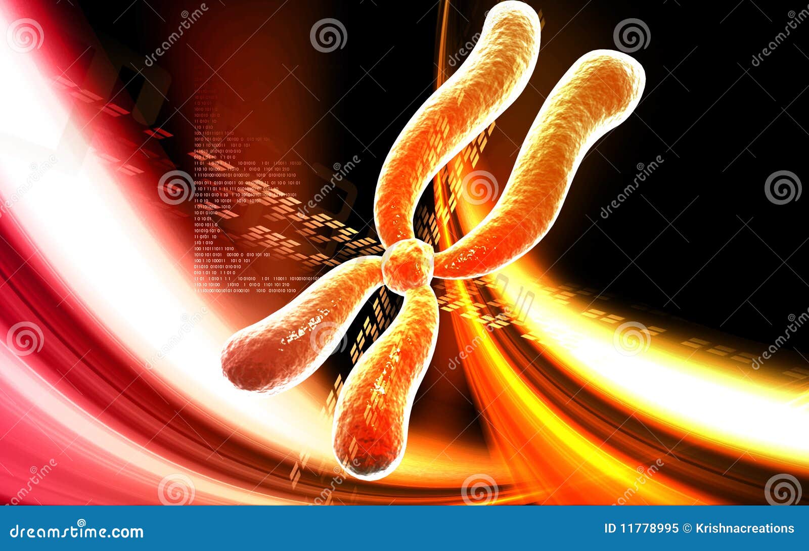 Chromosome stock illustration. Illustration of abstract - 11778995